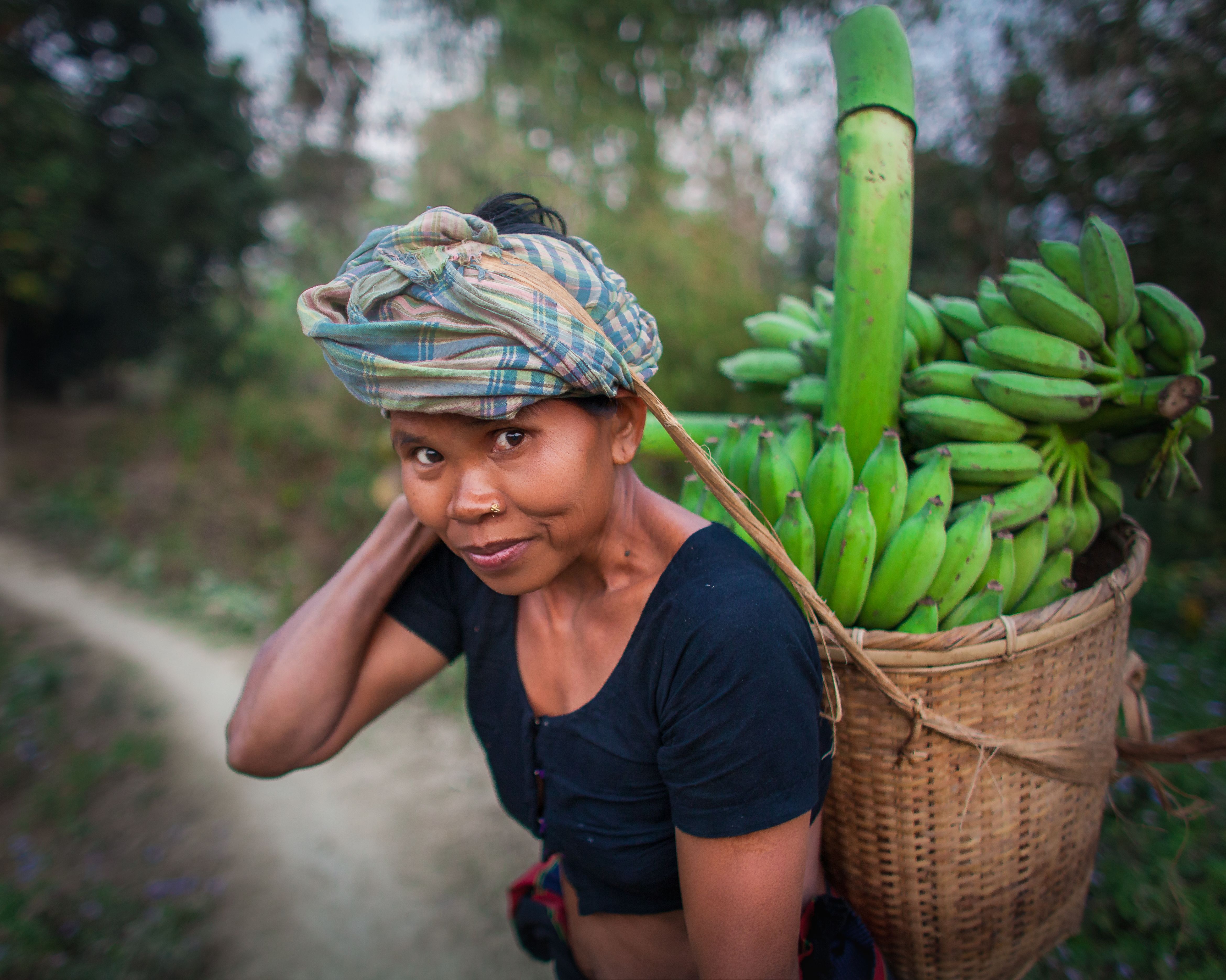 Ethnic Woman Harvesting Bananas in Bangladesh · Free Stock Photo