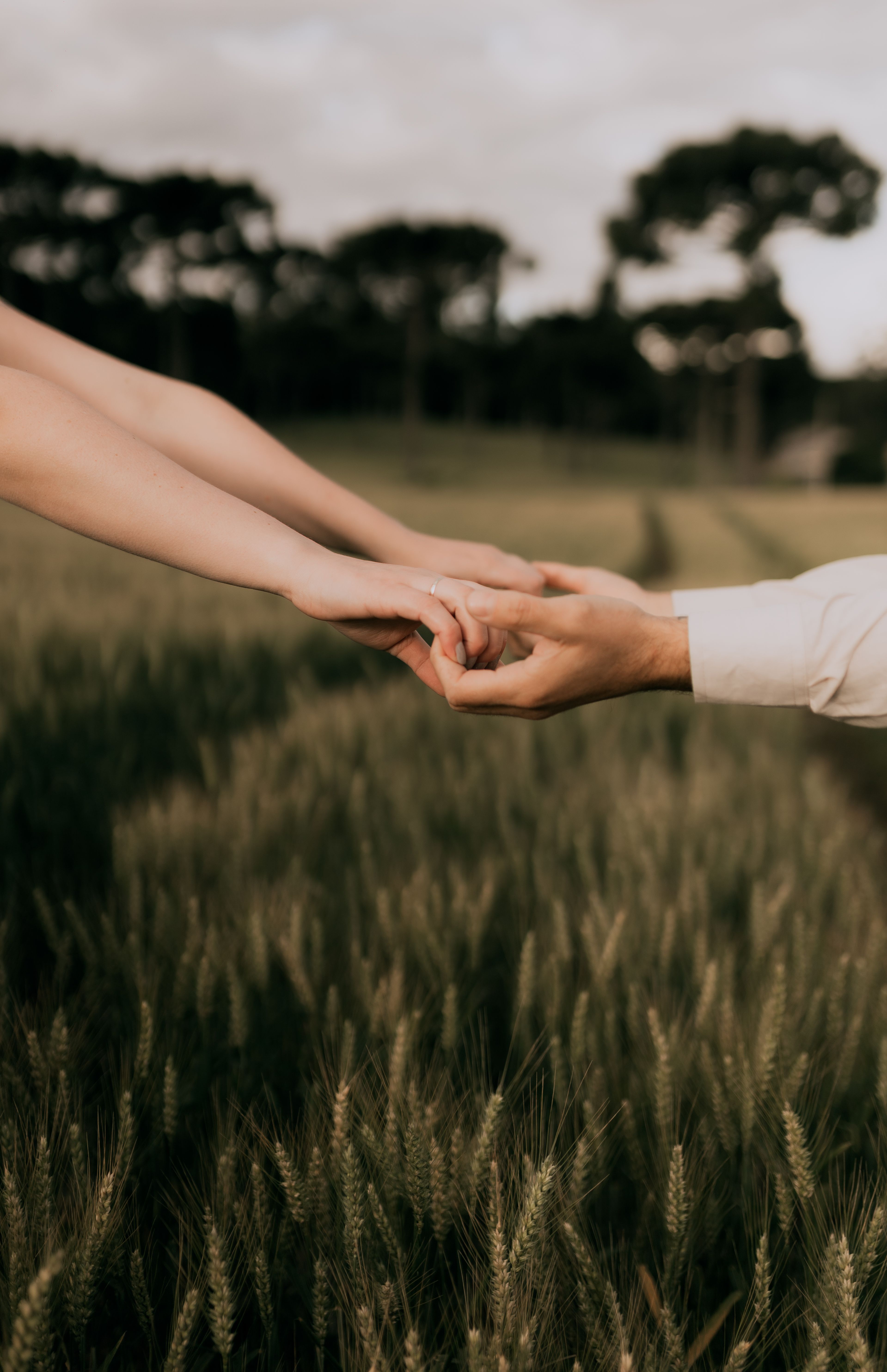 Romantic Couple Holding Hands in Wheat Field · Free Stock Photo