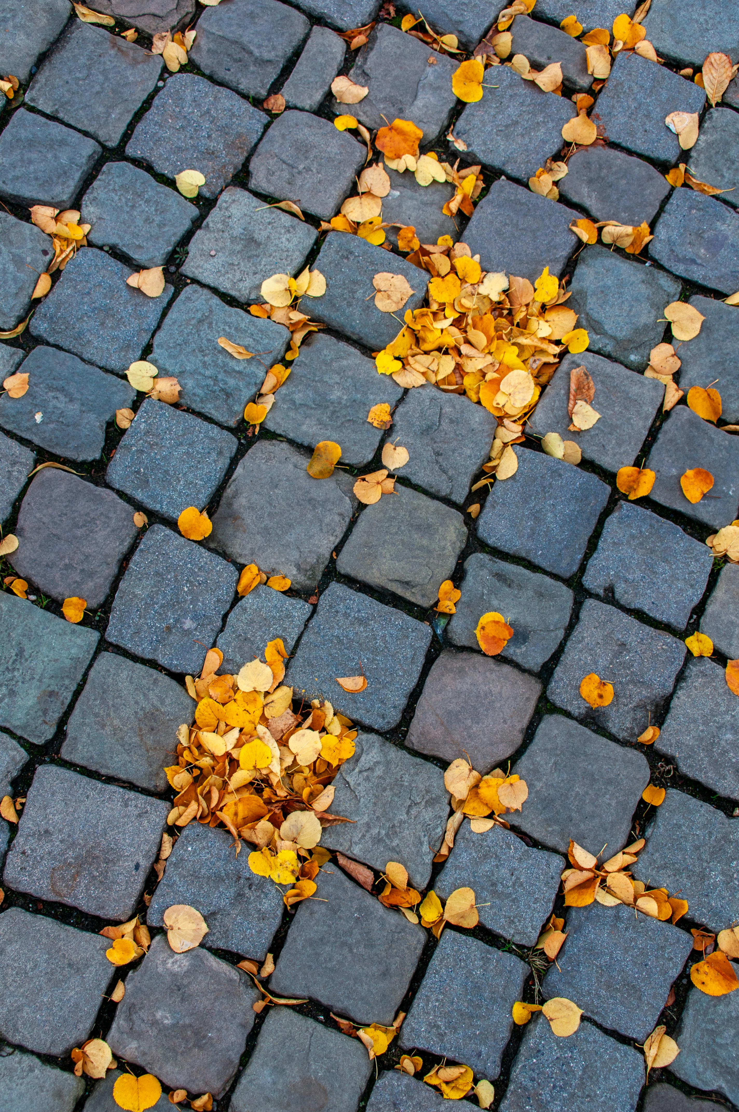 Cobblestone Texture Photos, Download The BEST Free Cobblestone Texture ...