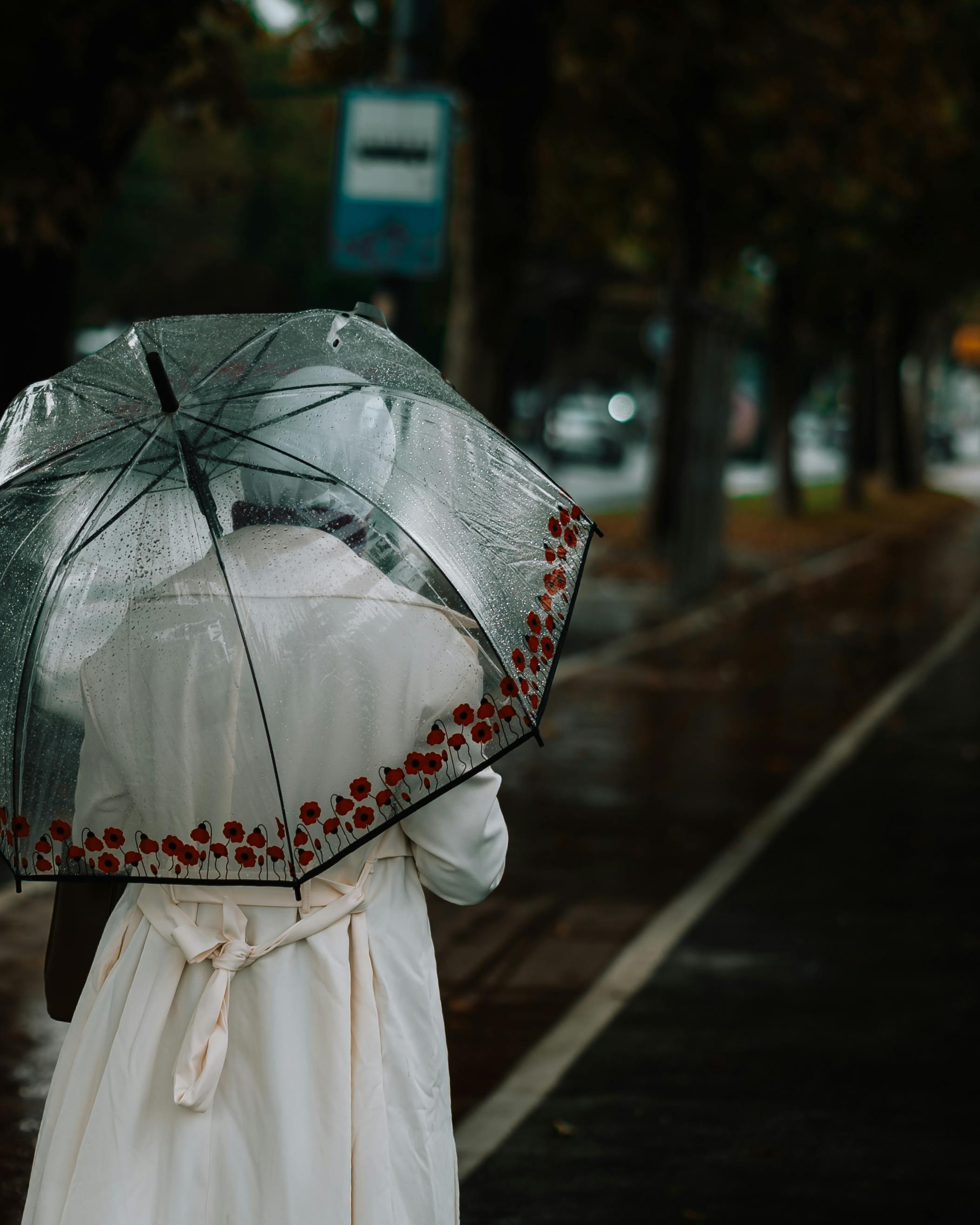 Dark Weather Photos, Download The BEST Free Dark Weather Stock Photos ...