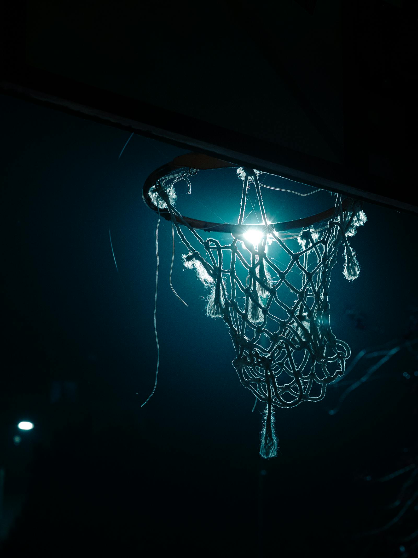 Basketball Images Photos, Download The BEST Free Basketball Images ...