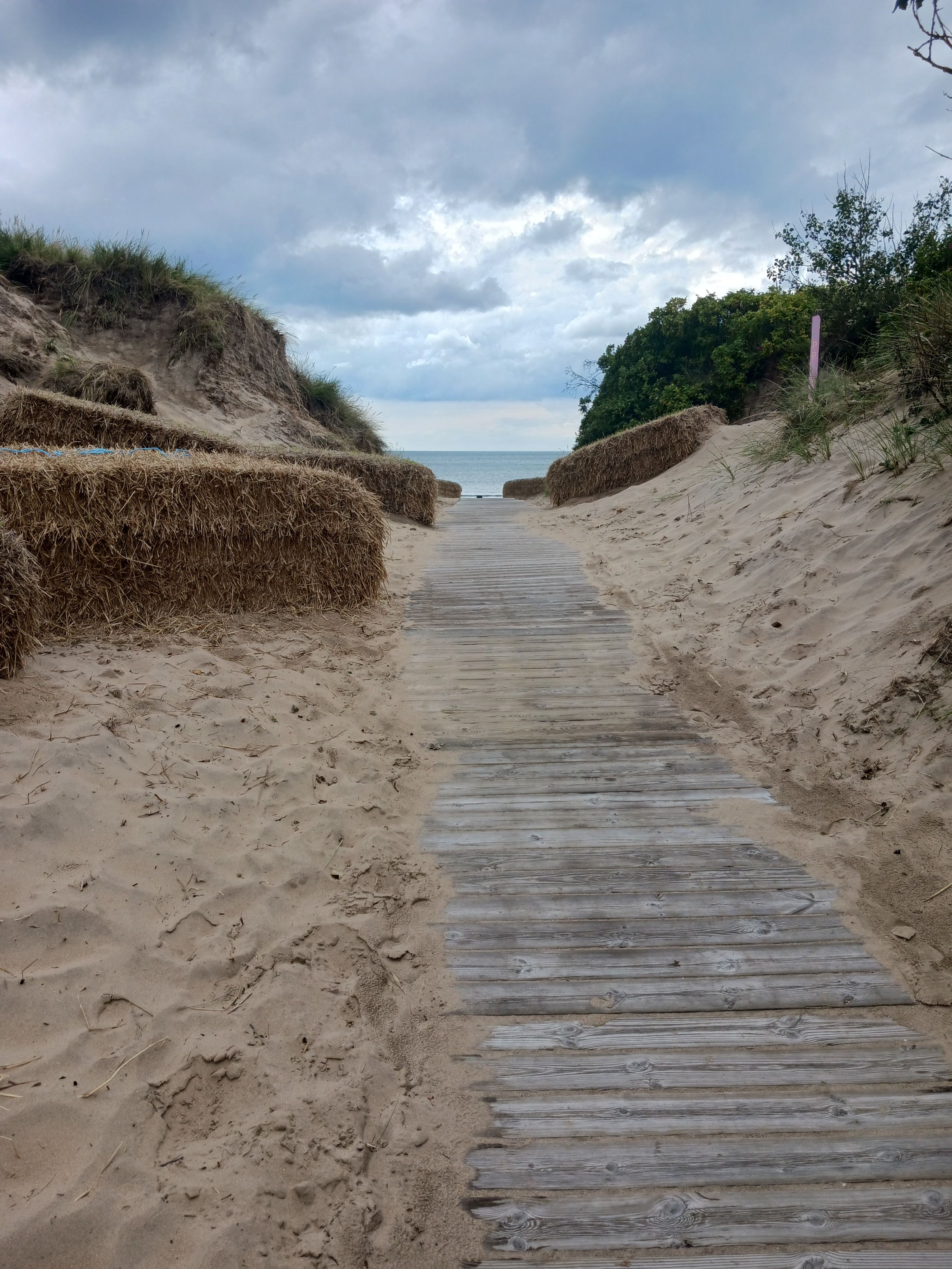 Scenic Pathway Through Sandy Dunes to Beach · Free Stock Photo