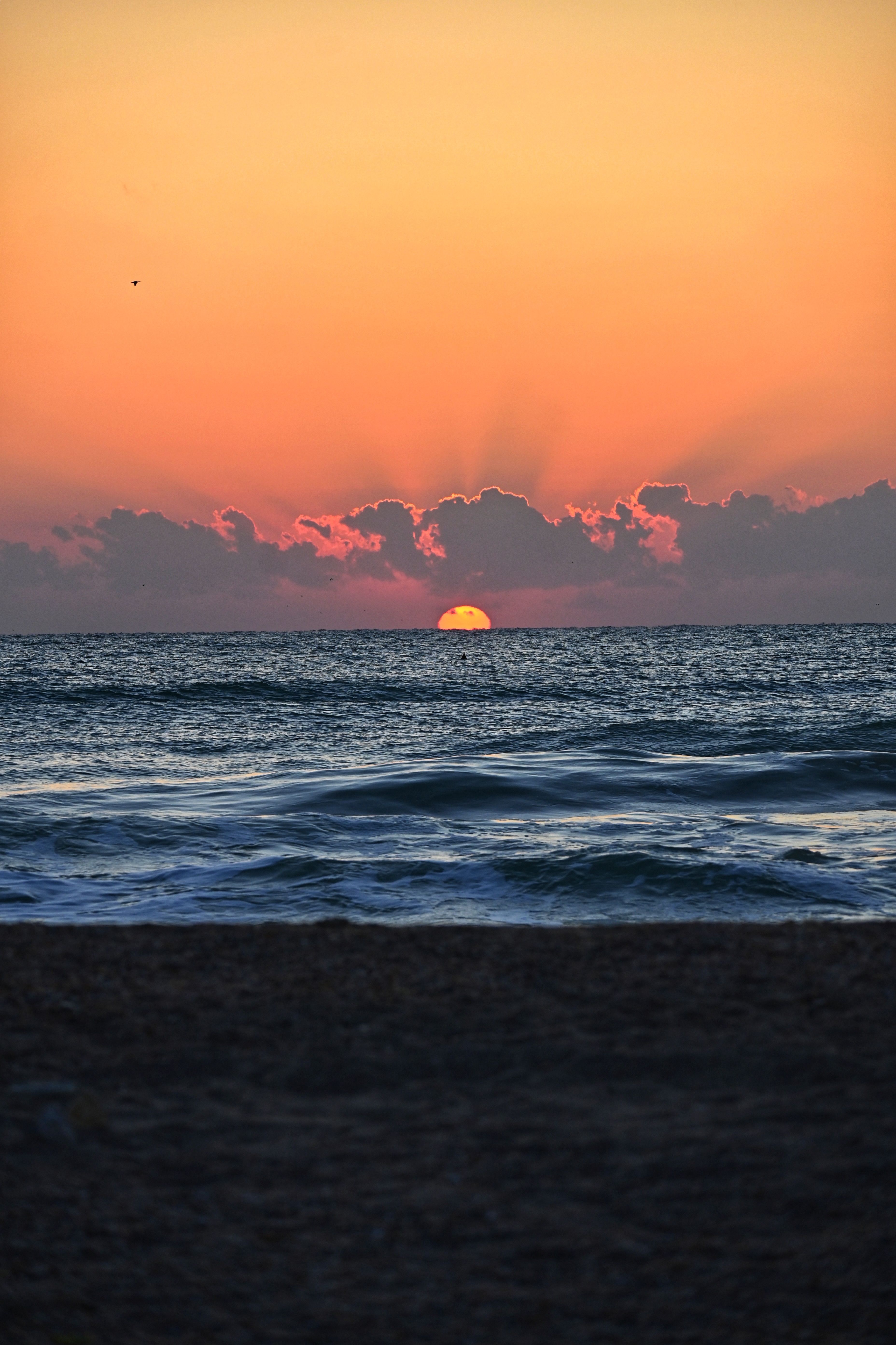 Stunning Beach Sunset with Vibrant Colors · Free Stock Photo
