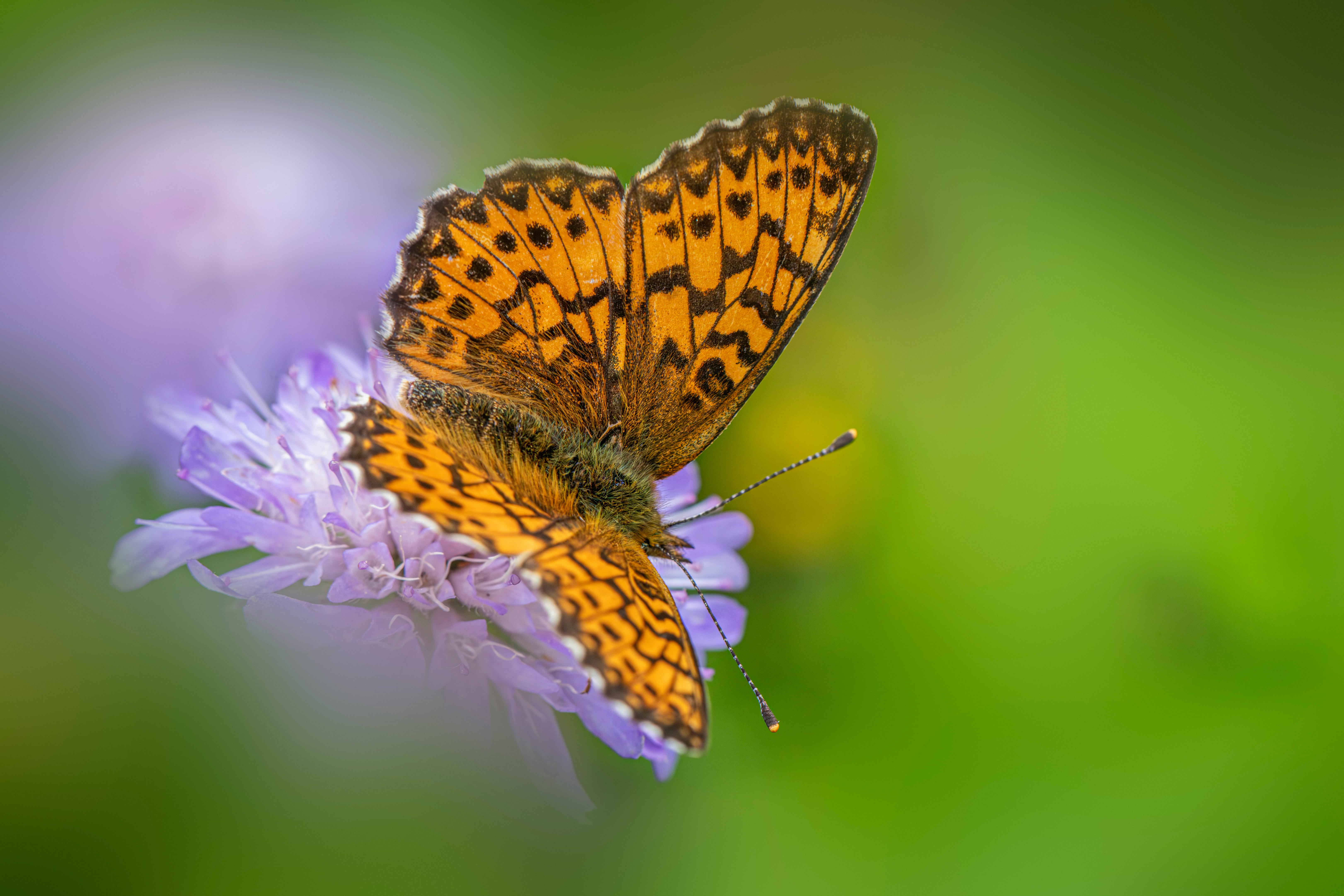 En İyi 70.000+ 9=0pl=gk&qs=n&form=qbre&sp=-1&lq=0&sc=0-0&cvid ...