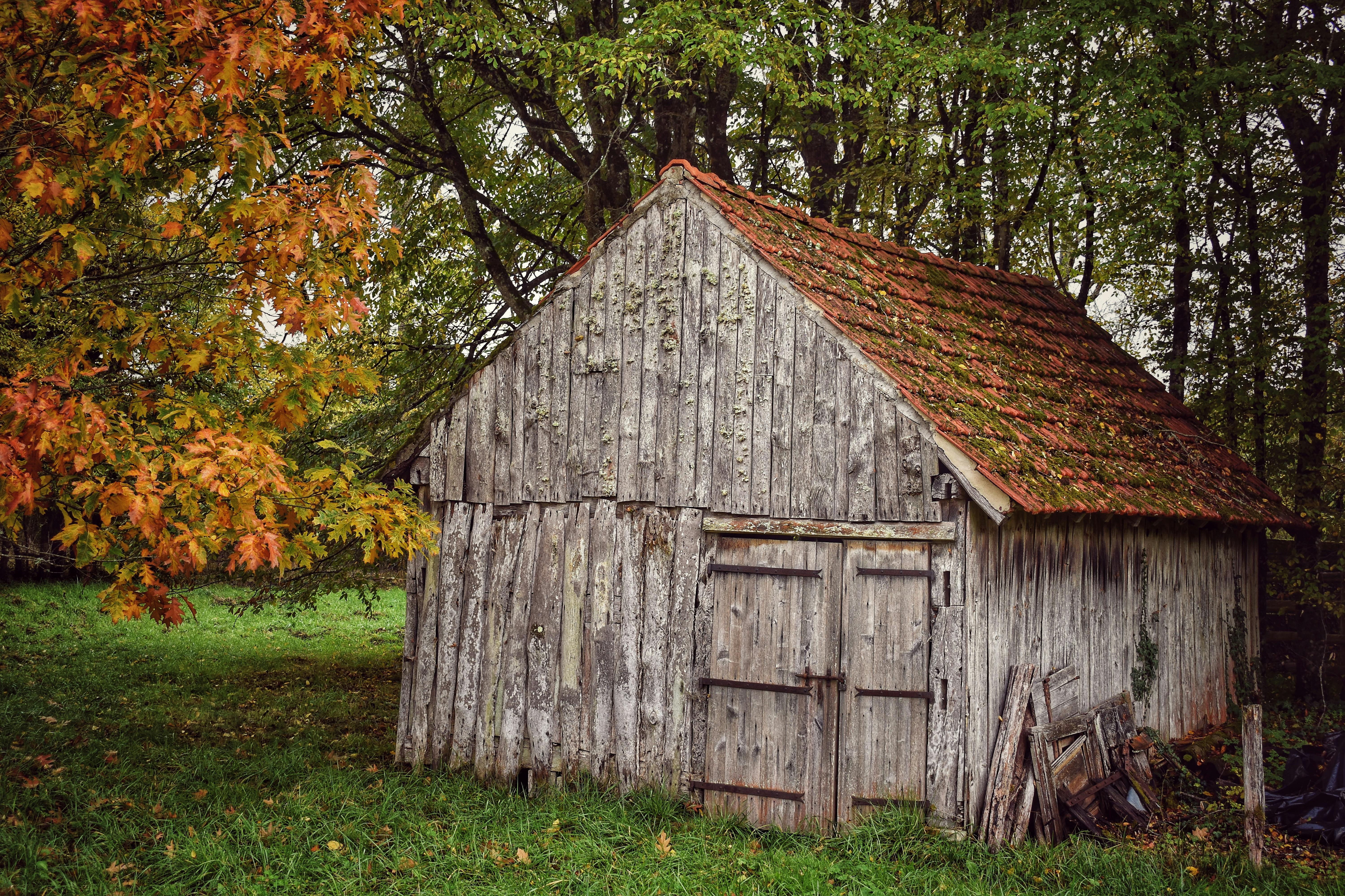 Rust Texture Photos, Download The BEST Free Rust Texture Stock Photos ...