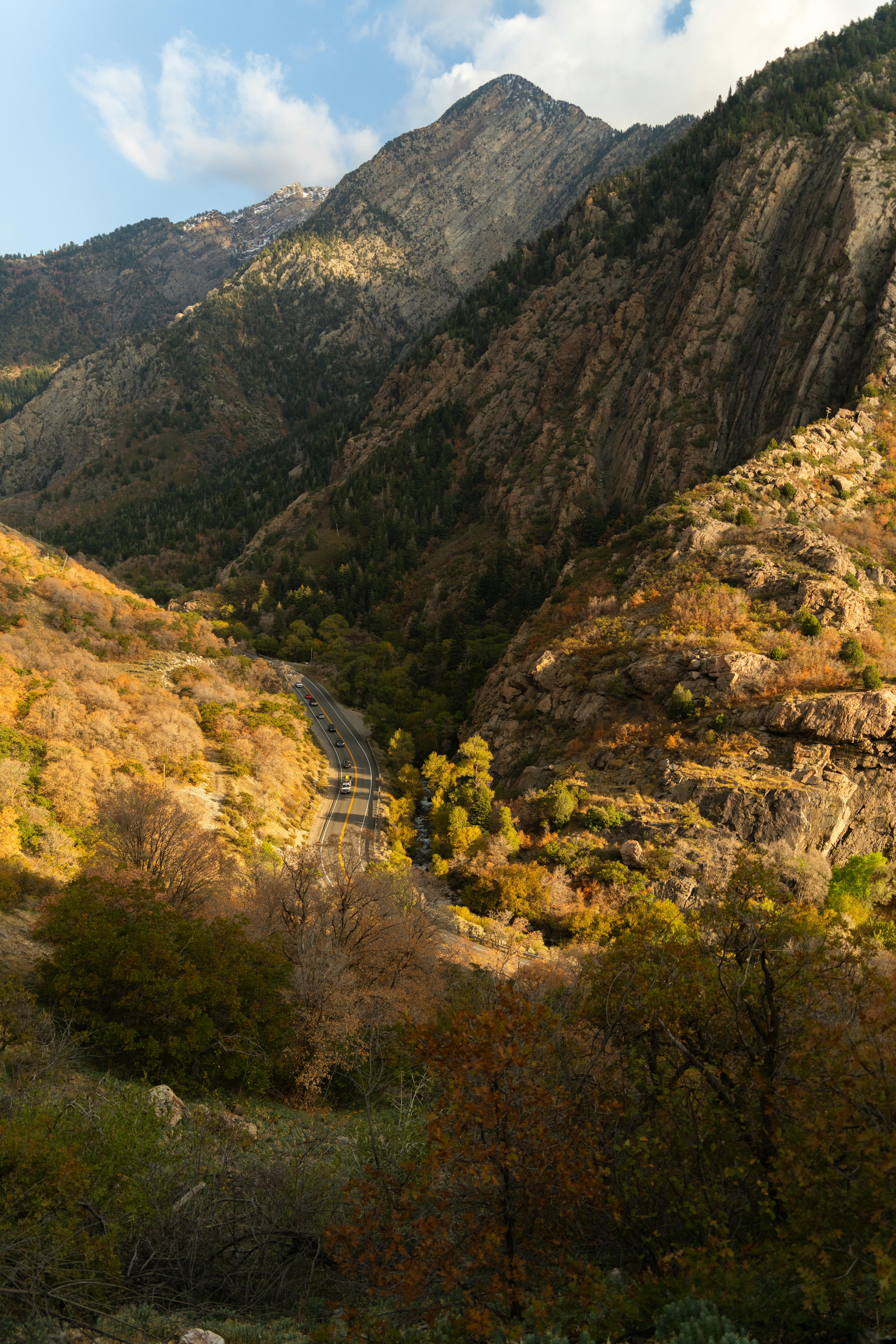 Big Boods Photos, Download The BEST Free Big Boods Stock Photos & HD Images