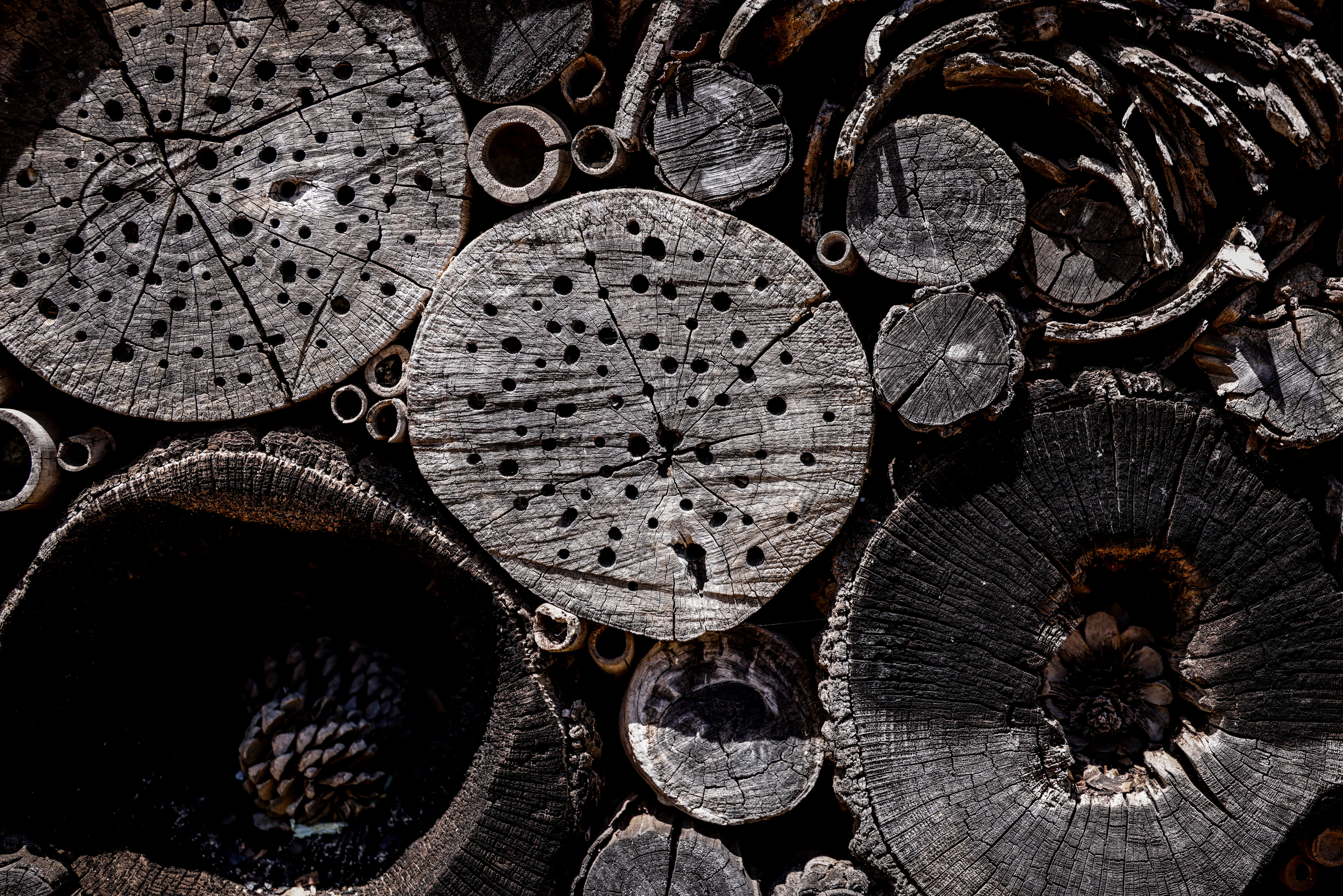 Close-up of Rustic Bee Habitat in Woodcut · Free Stock Photo