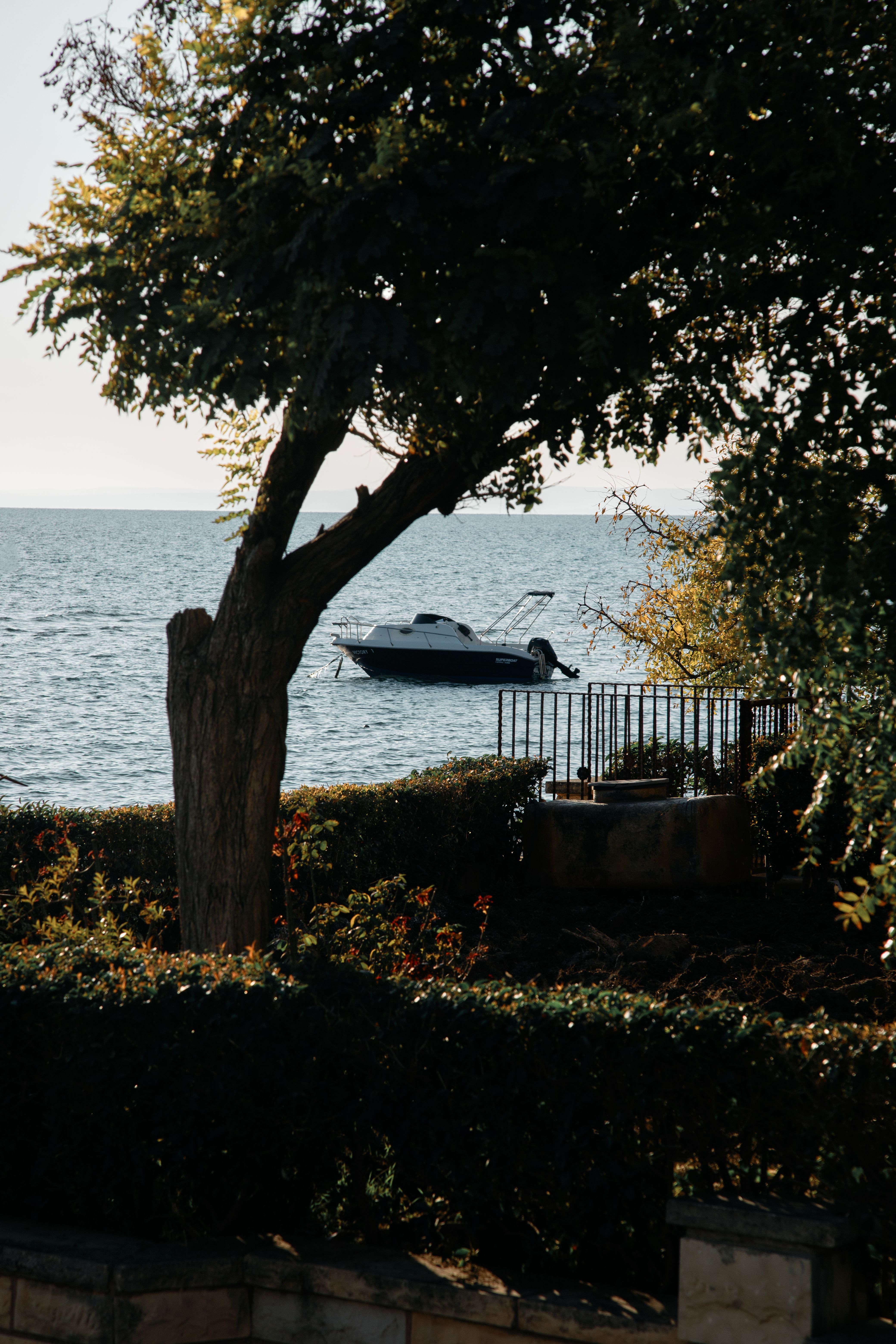 Scenic Seaside View with Boat and Tree Framing · Free Stock Photo