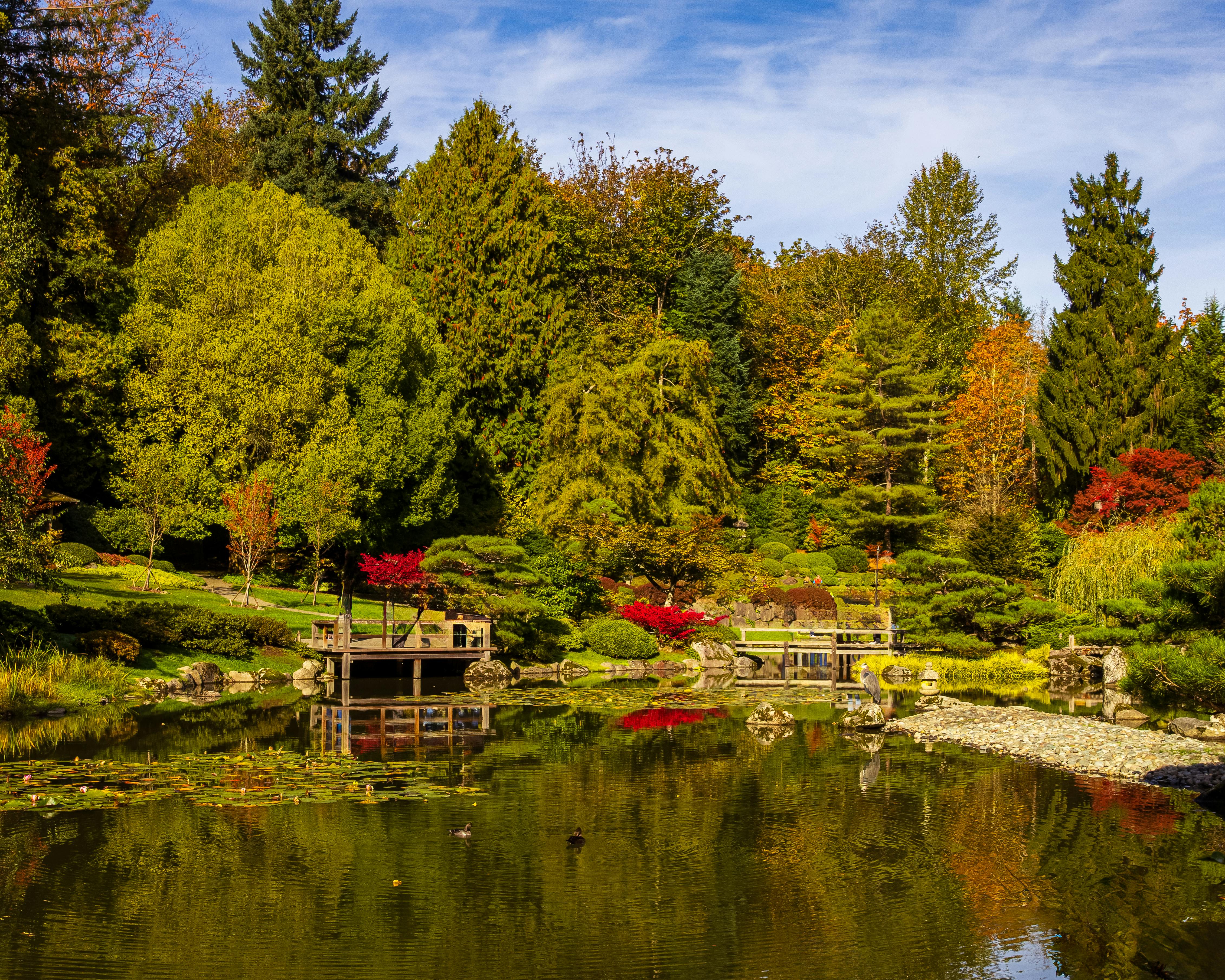 Paisagem Cênica De Outono No Tranquil Park · Foto profissional gratuita