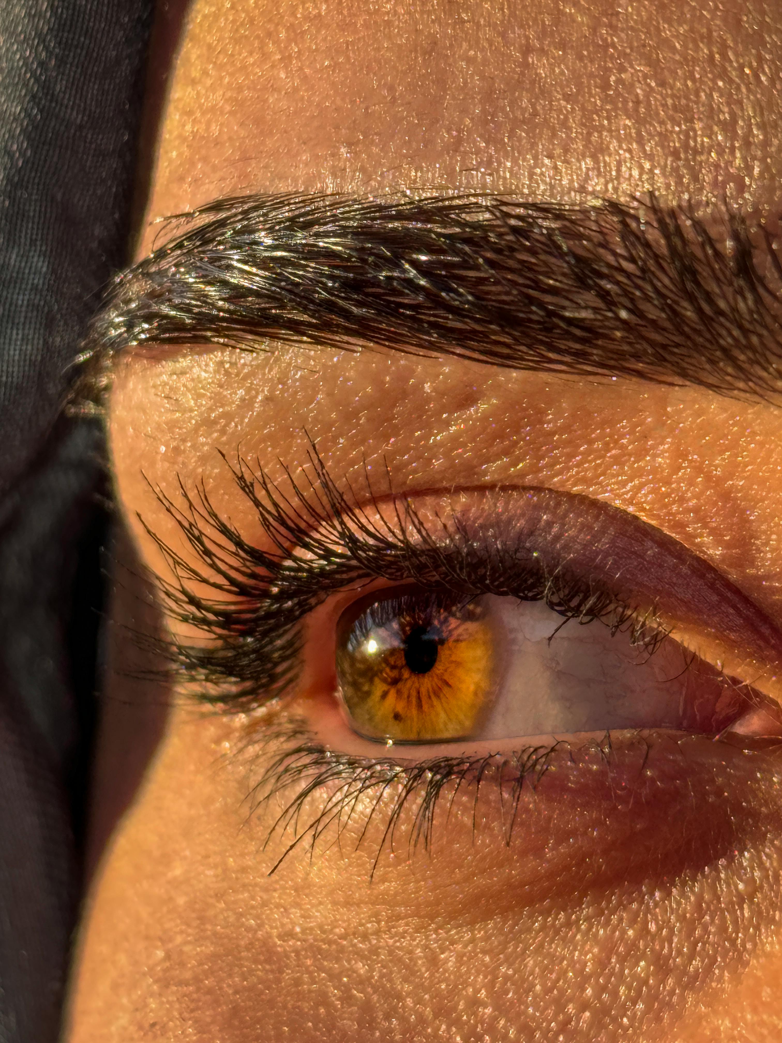 Realistic Photos, Download The BEST Free Realistic Stock Photos & HD Images