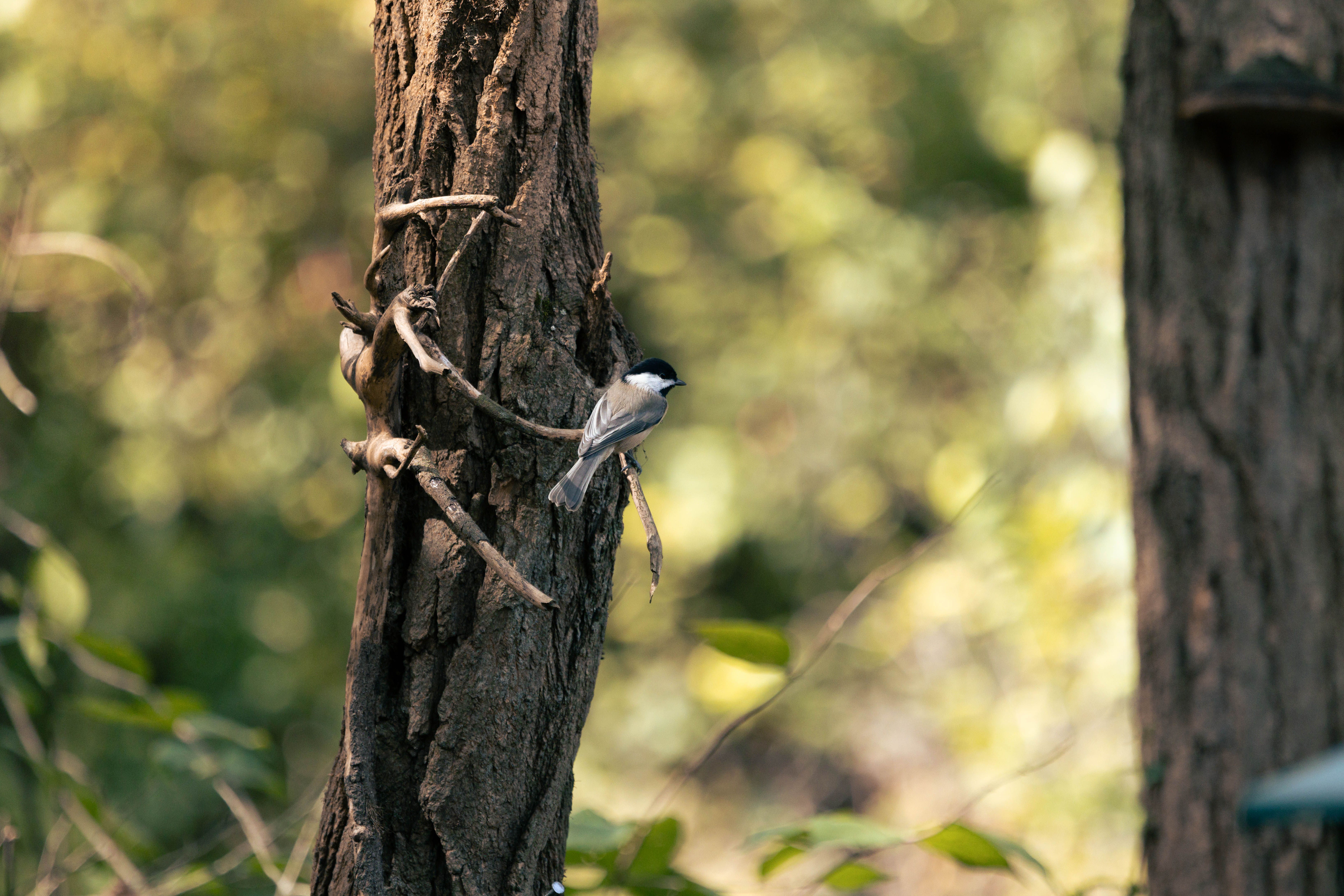 Small Size Photos, Download The BEST Free Small Size Stock Photos & HD ...