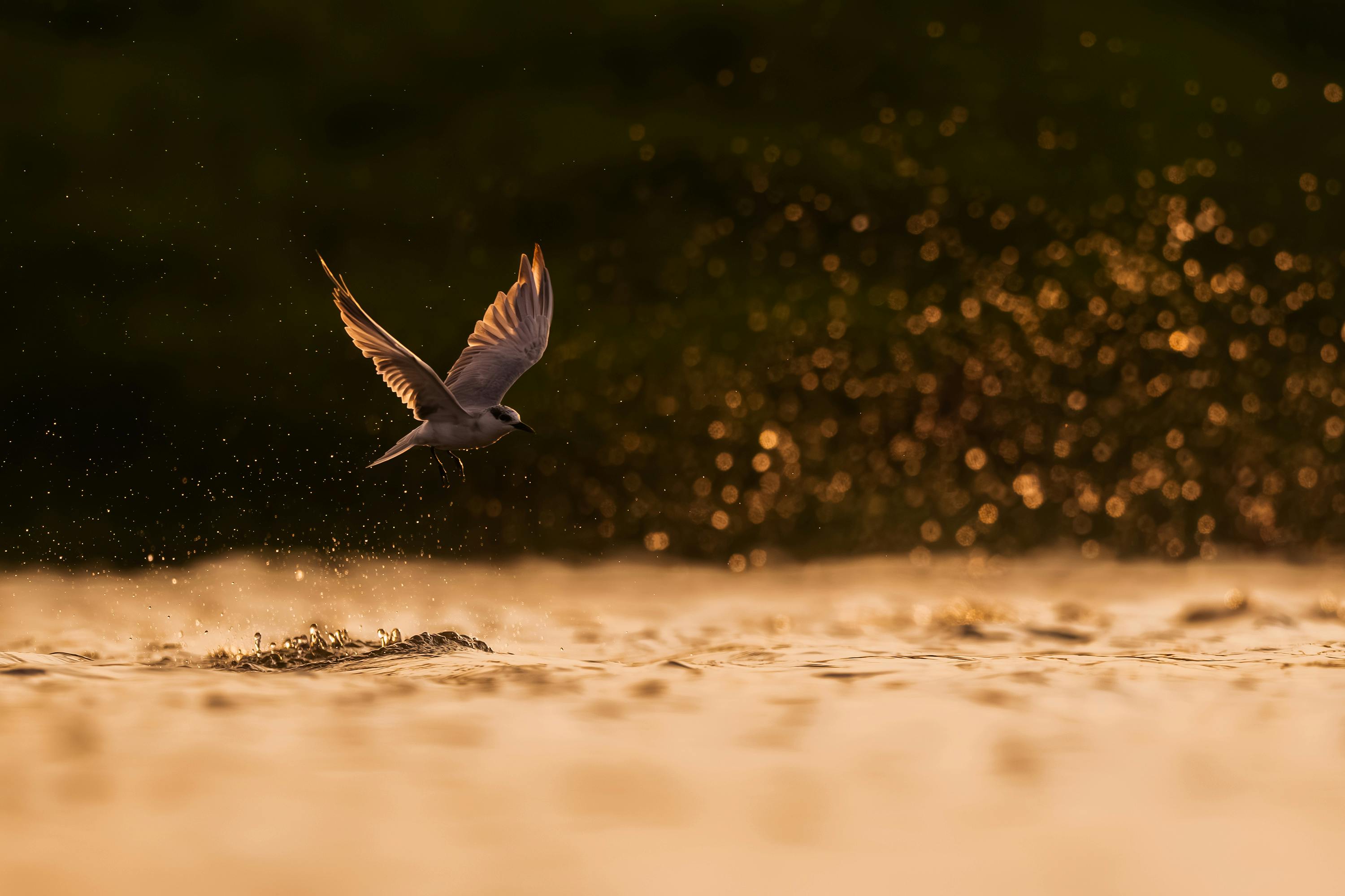 Free Pinterest Photos, Download The BEST Free Free Pinterest Stock ...