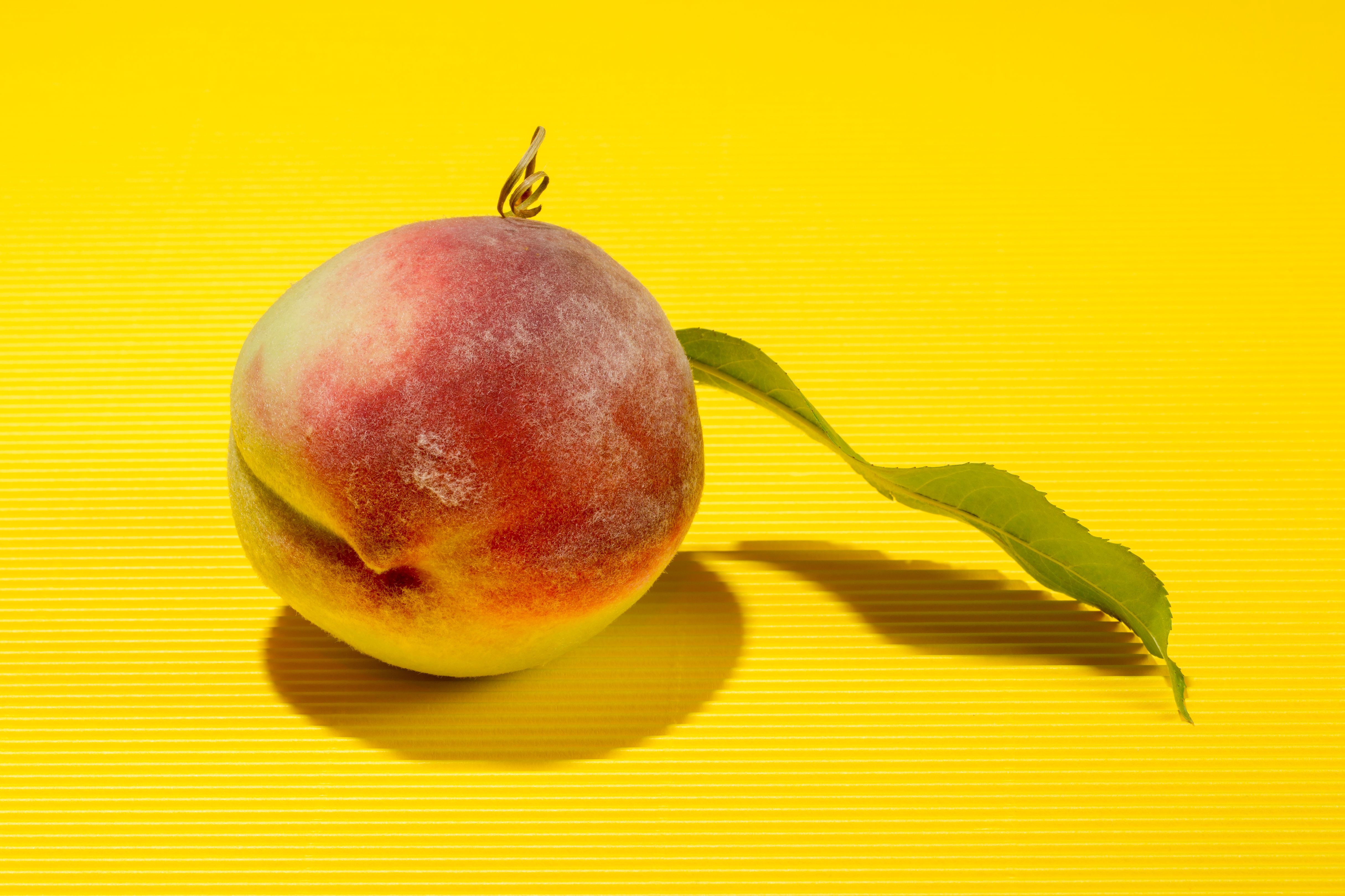 Peach Yellow Background Photos, Download The BEST Free Peach Yellow ...