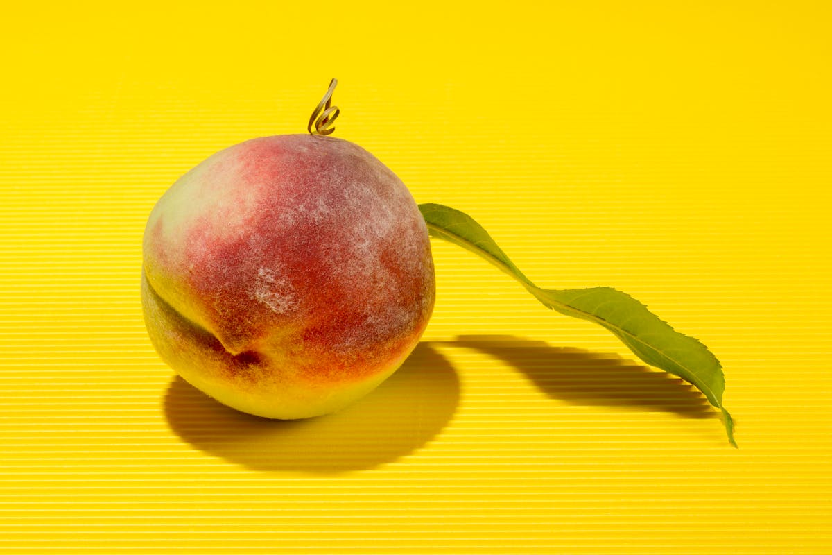 Peach Yellow Background Photos, Download The BEST Free Peach Yellow ...