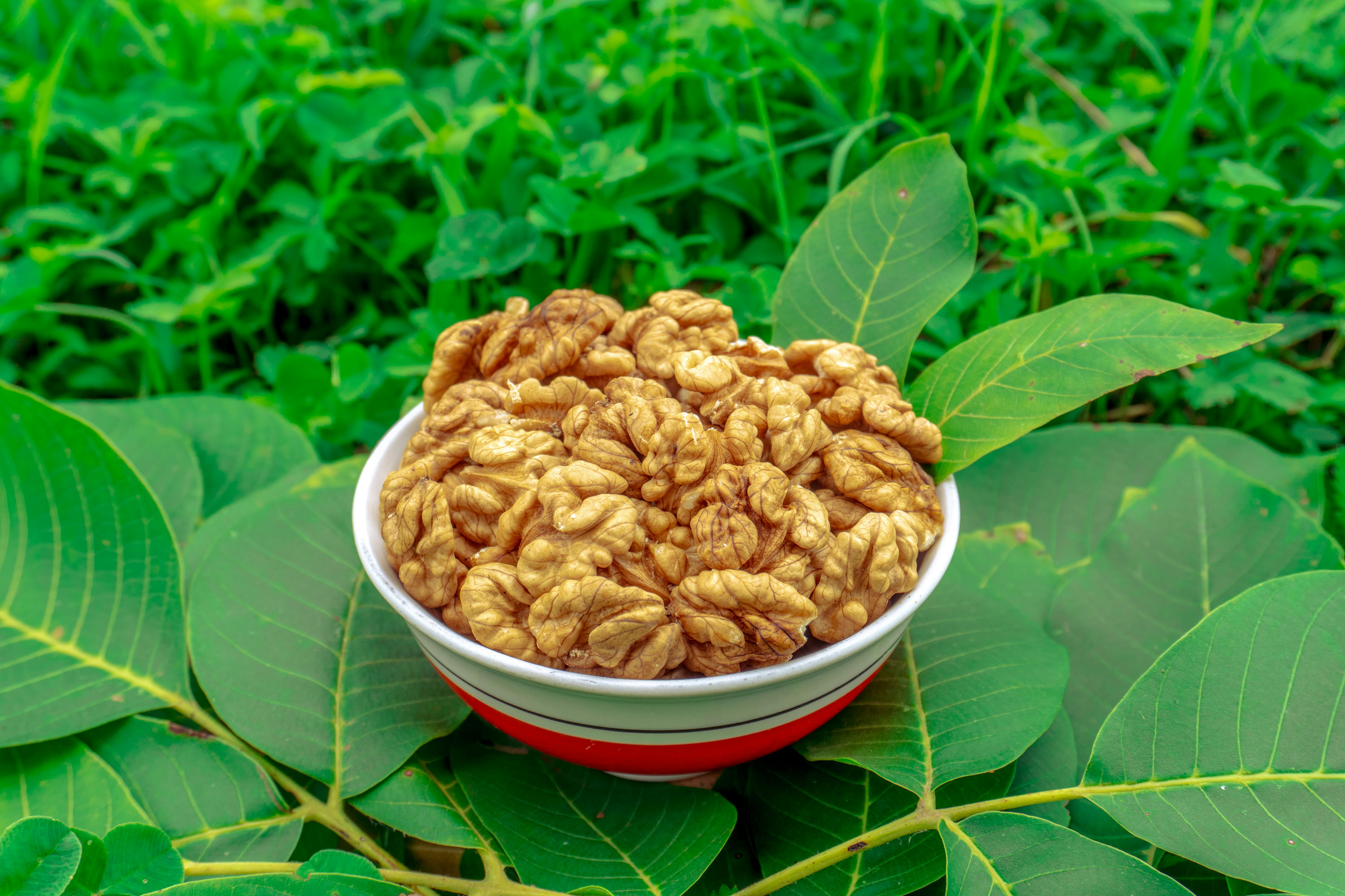 P+An+P+E+Ro+Tkro+Tkro+Qbb+Pic+Pic+Qb+Anicc+Anro+An+P+Anpc+Anpc+Anp+Em+Pi+Emmr+Emt+Qb+Pcq+Emmc ...