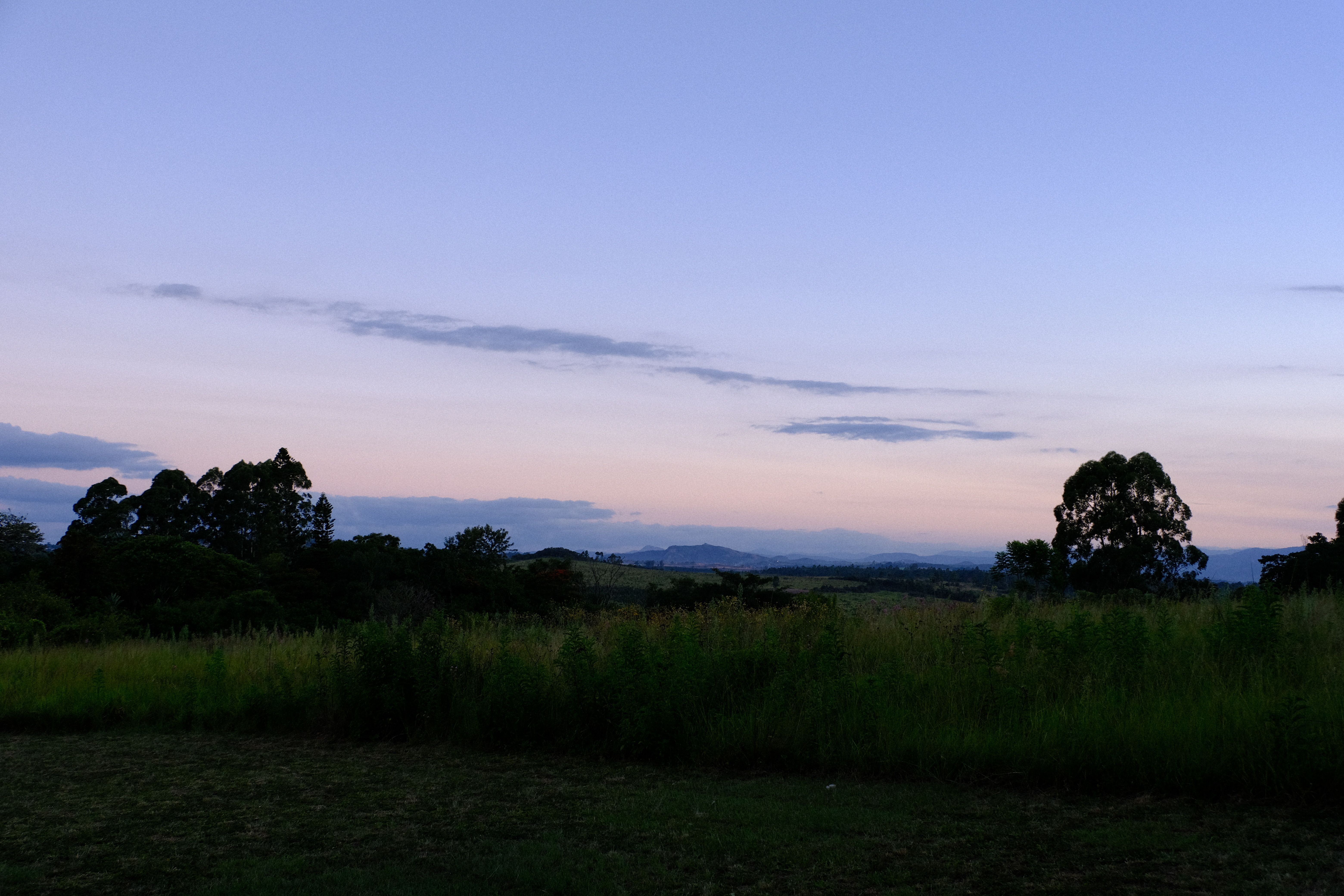 Serene Twilight Landscape with Trees and Sky · Free Stock Photo