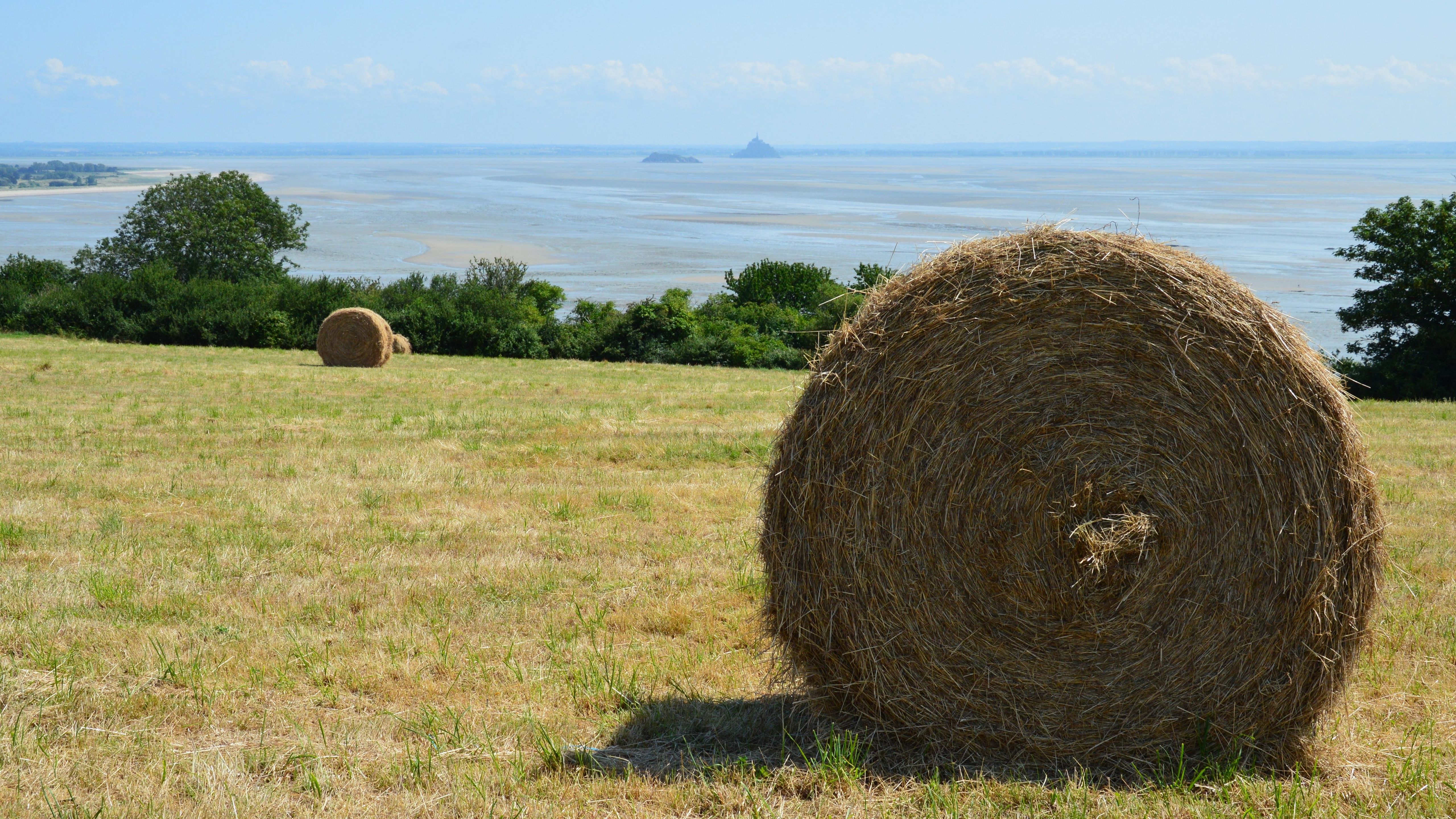 Hay Bales and Coastal View in Champeaux, Normandie · Free Stock Photo