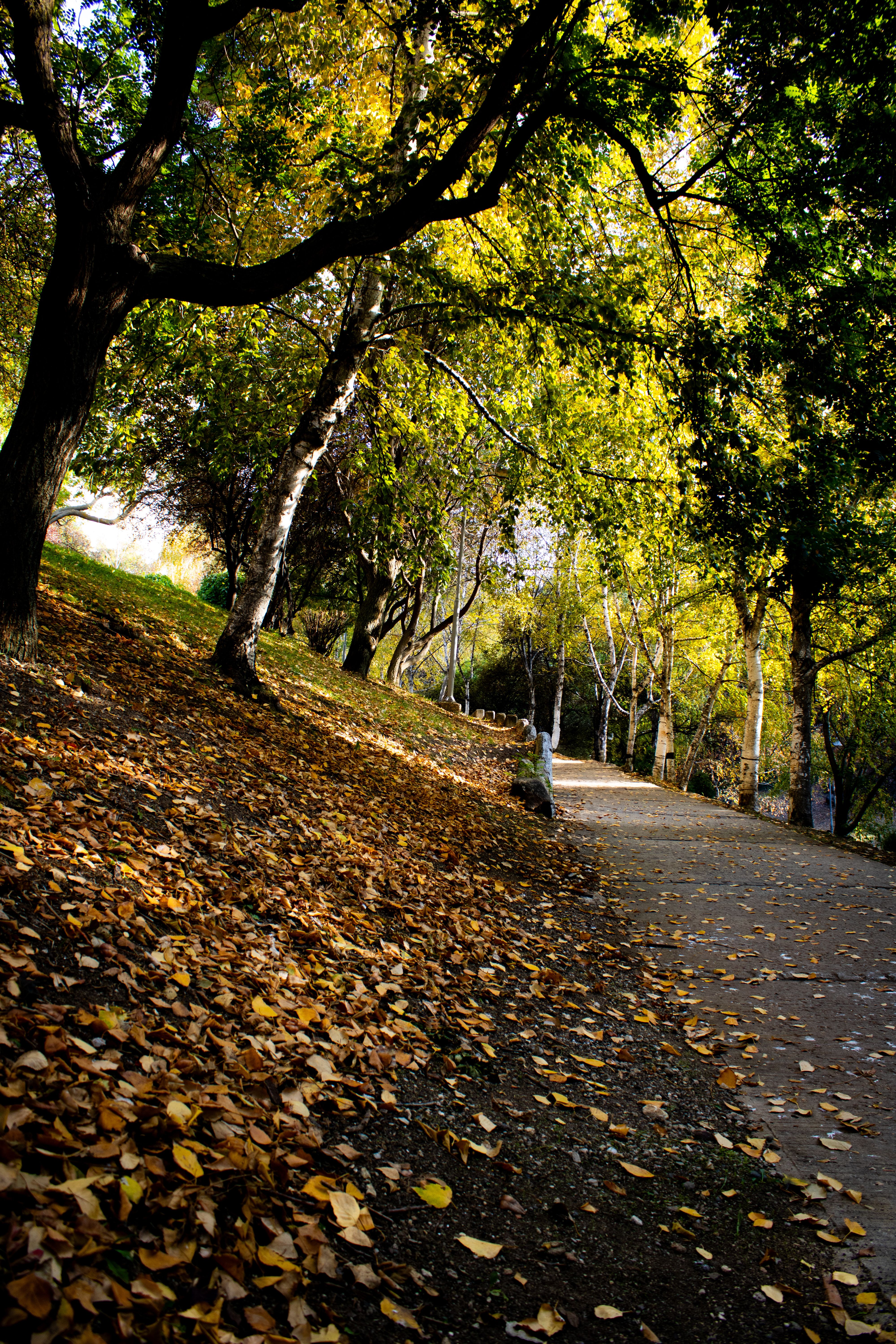 Environment 4k Photos, Download The BEST Free Environment 4k Stock ...