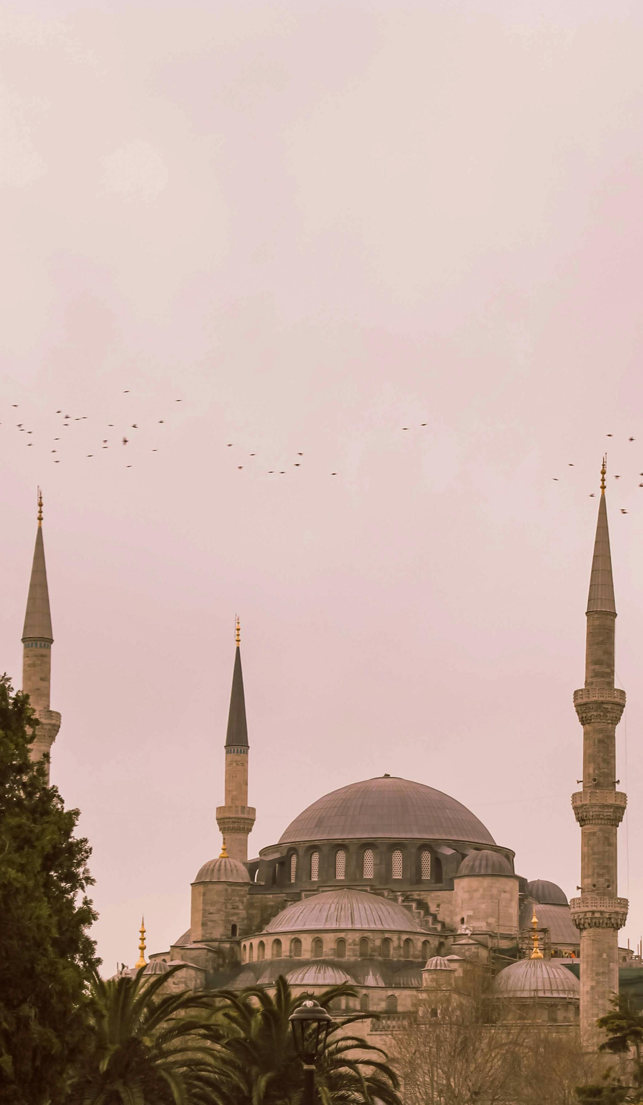 Sir Syed Ahmed Khan Photos, Download The BEST Free Sir Syed Ahmed Khan ...