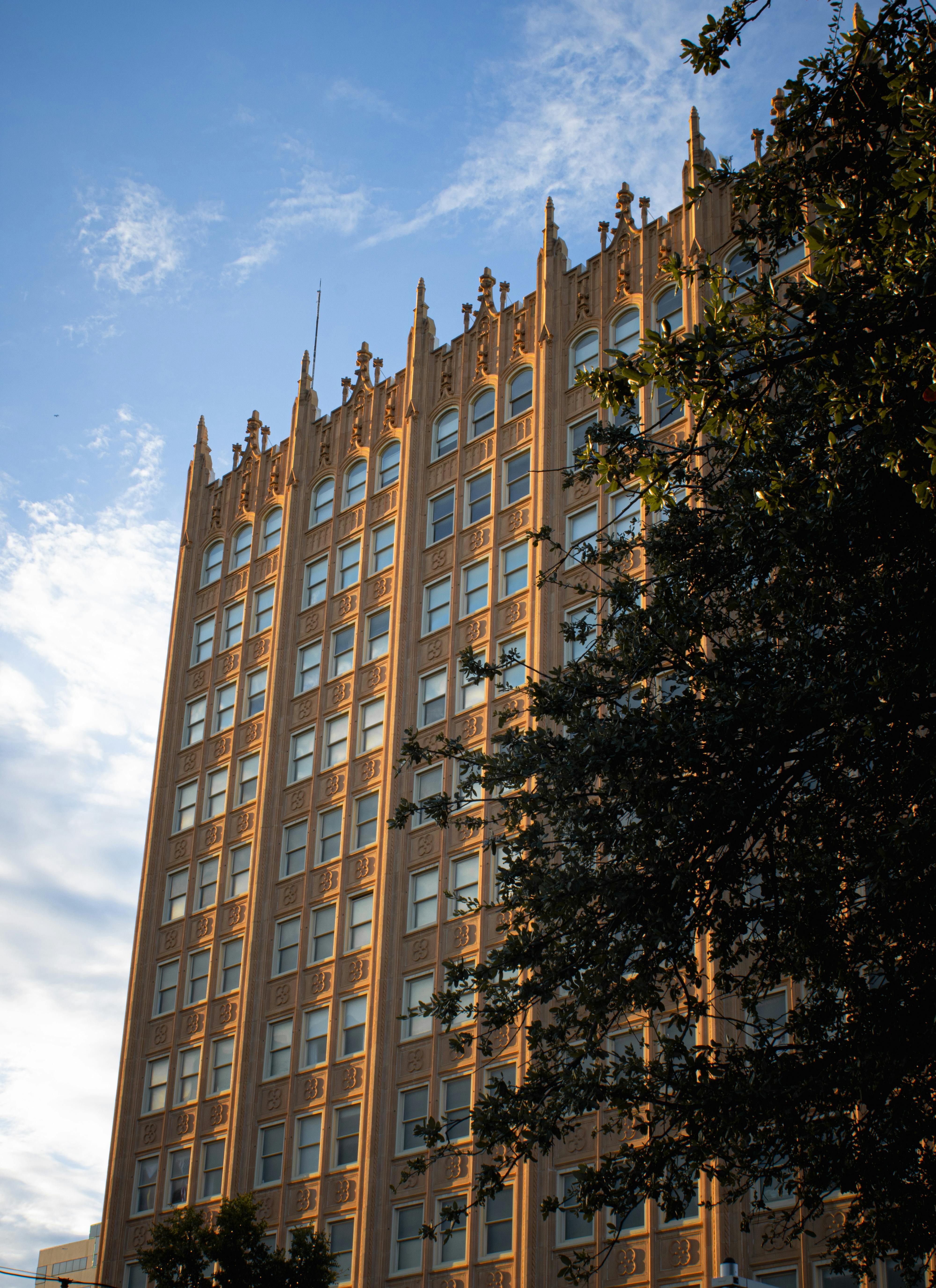 Wallpaper Fall Animals Photos, Download The BEST Free Wallpaper Fall ...