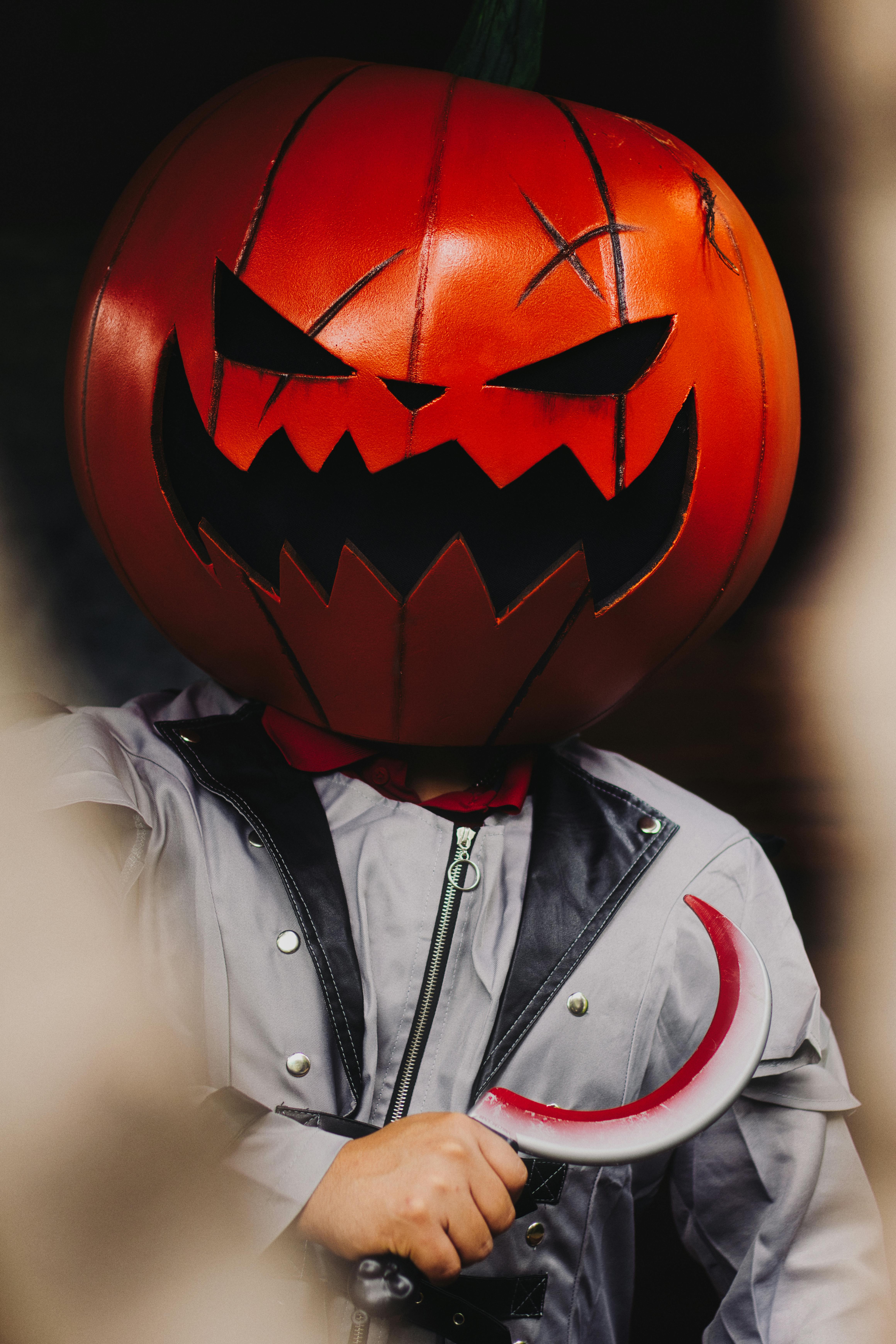 Rasa+Pisica+Cu+O Photos, Download The BEST Free Rasa+Pisica+Cu+O Stock ...