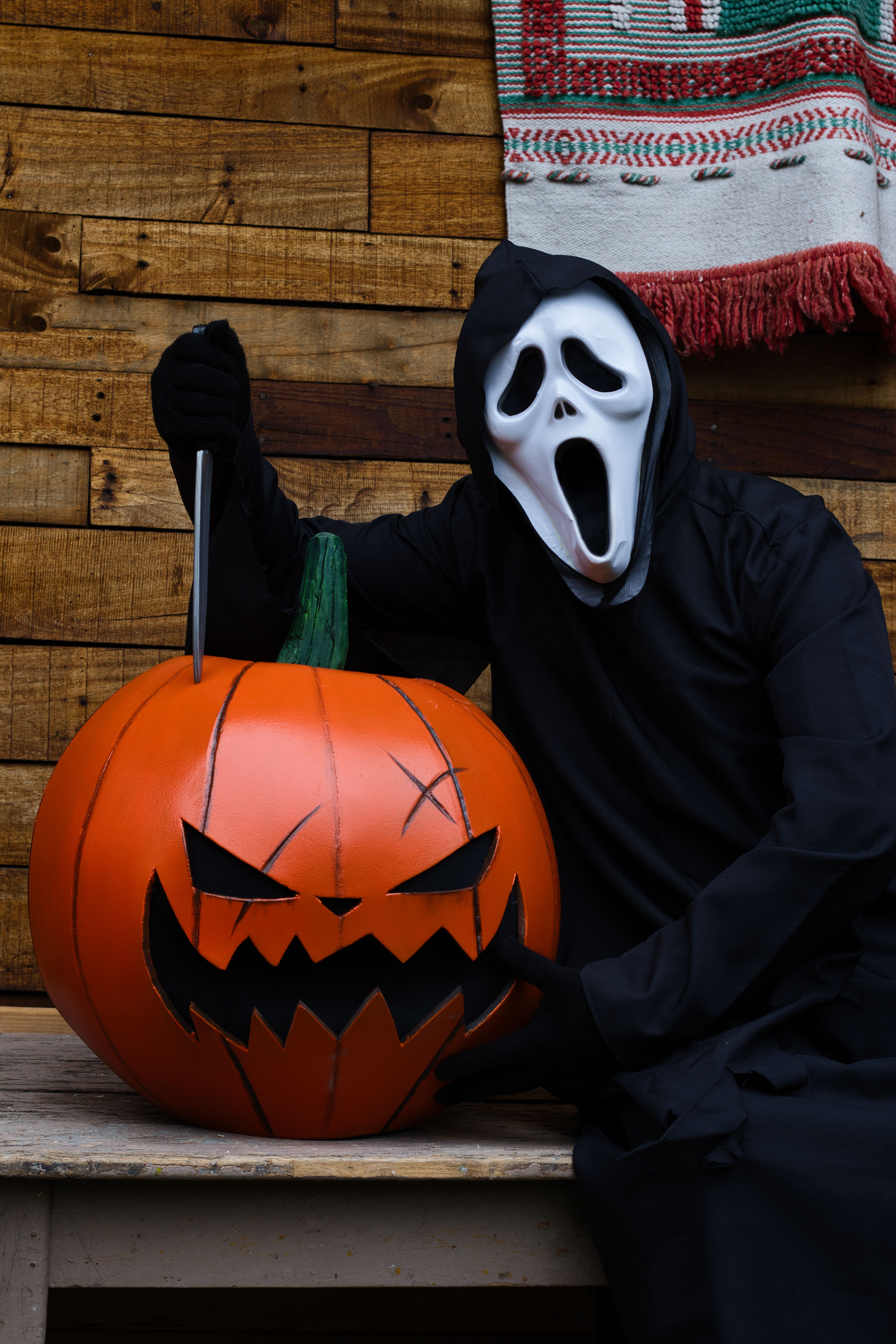 Boo Unico Photos, Download The BEST Free Boo Unico Stock Photos & HD Images
