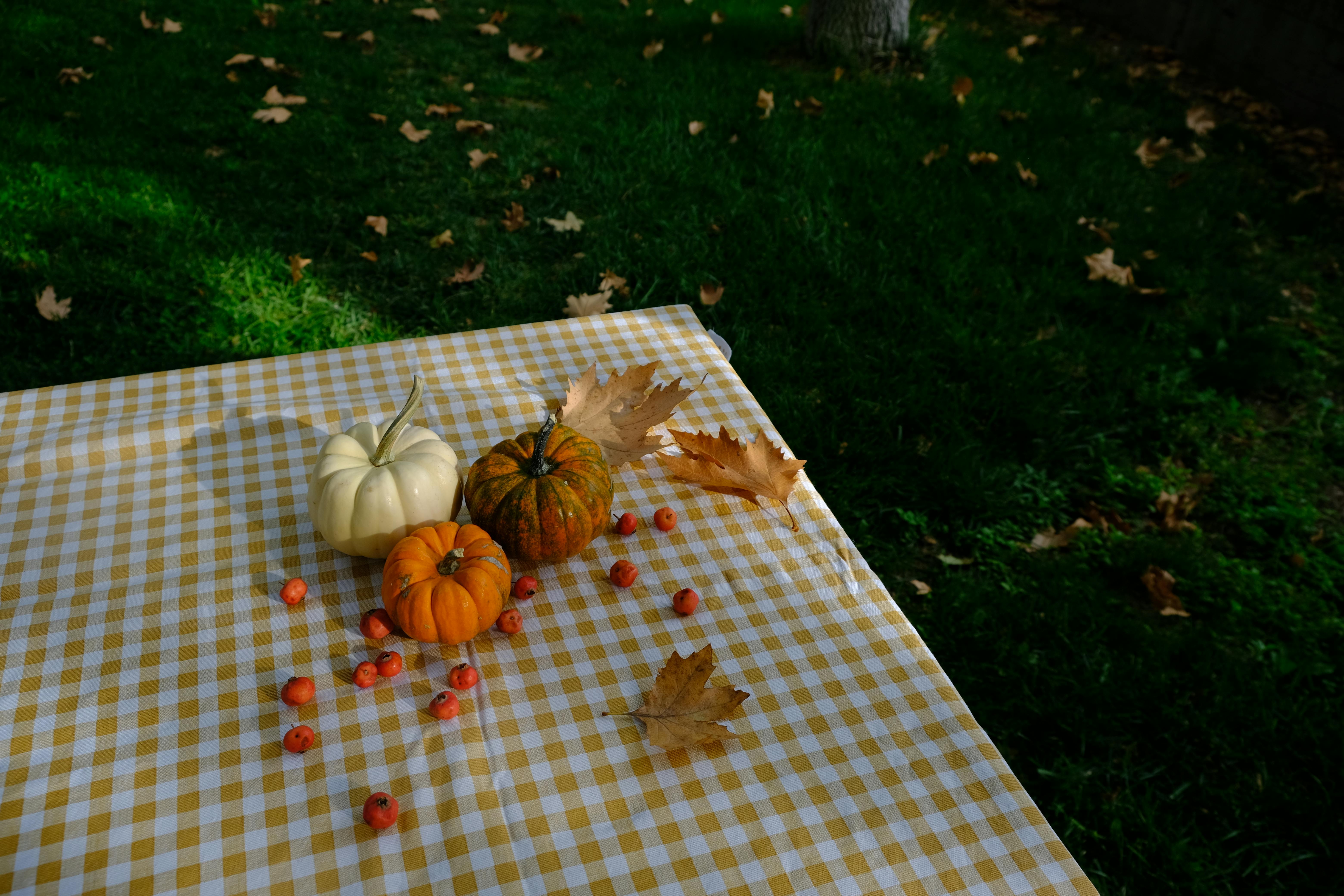 November Fall Photos, Download The BEST Free November Fall Stock Photos ...