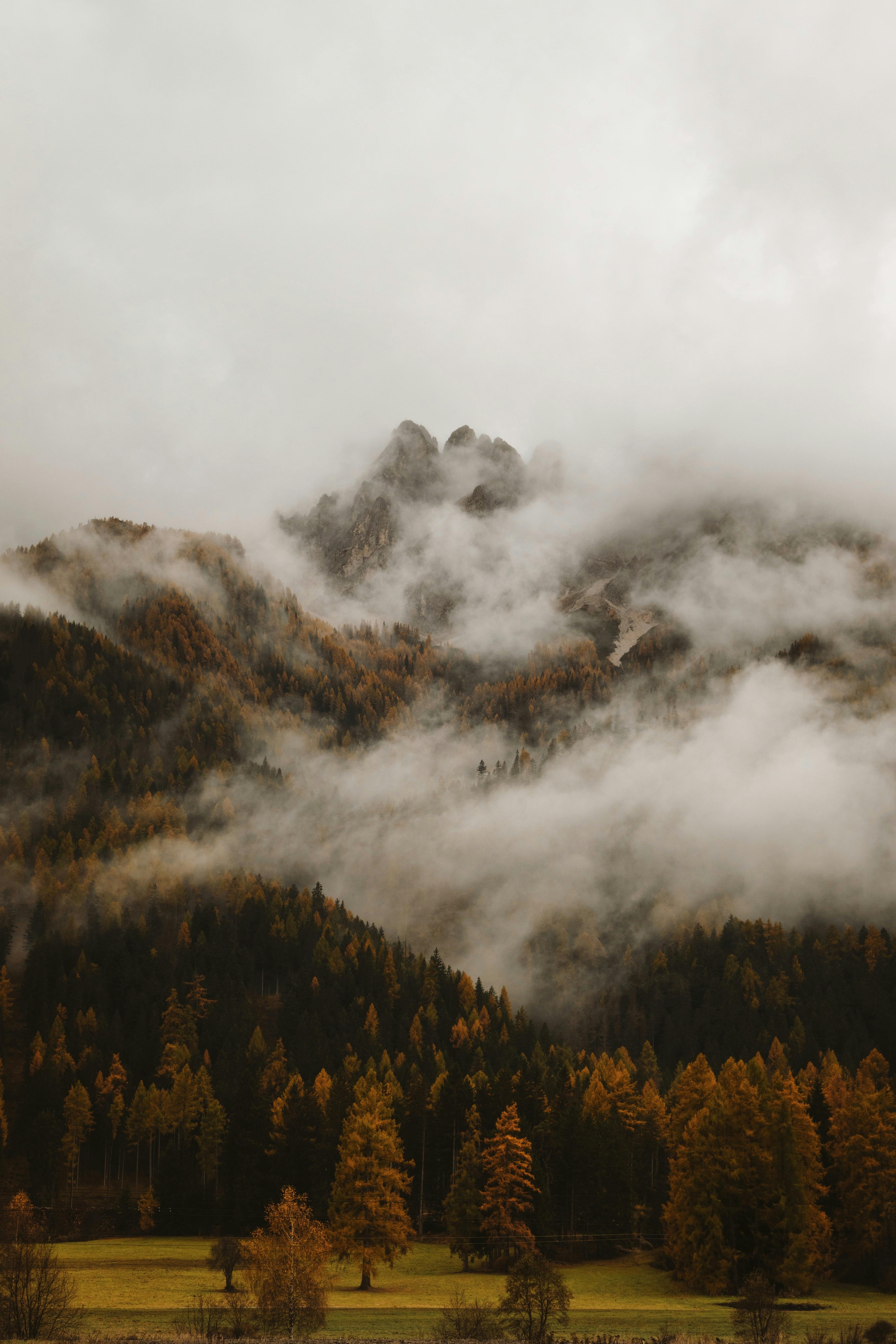 Beautiful+Wa Photos, Download The BEST Free Beautiful+Wa Stock Photos ...