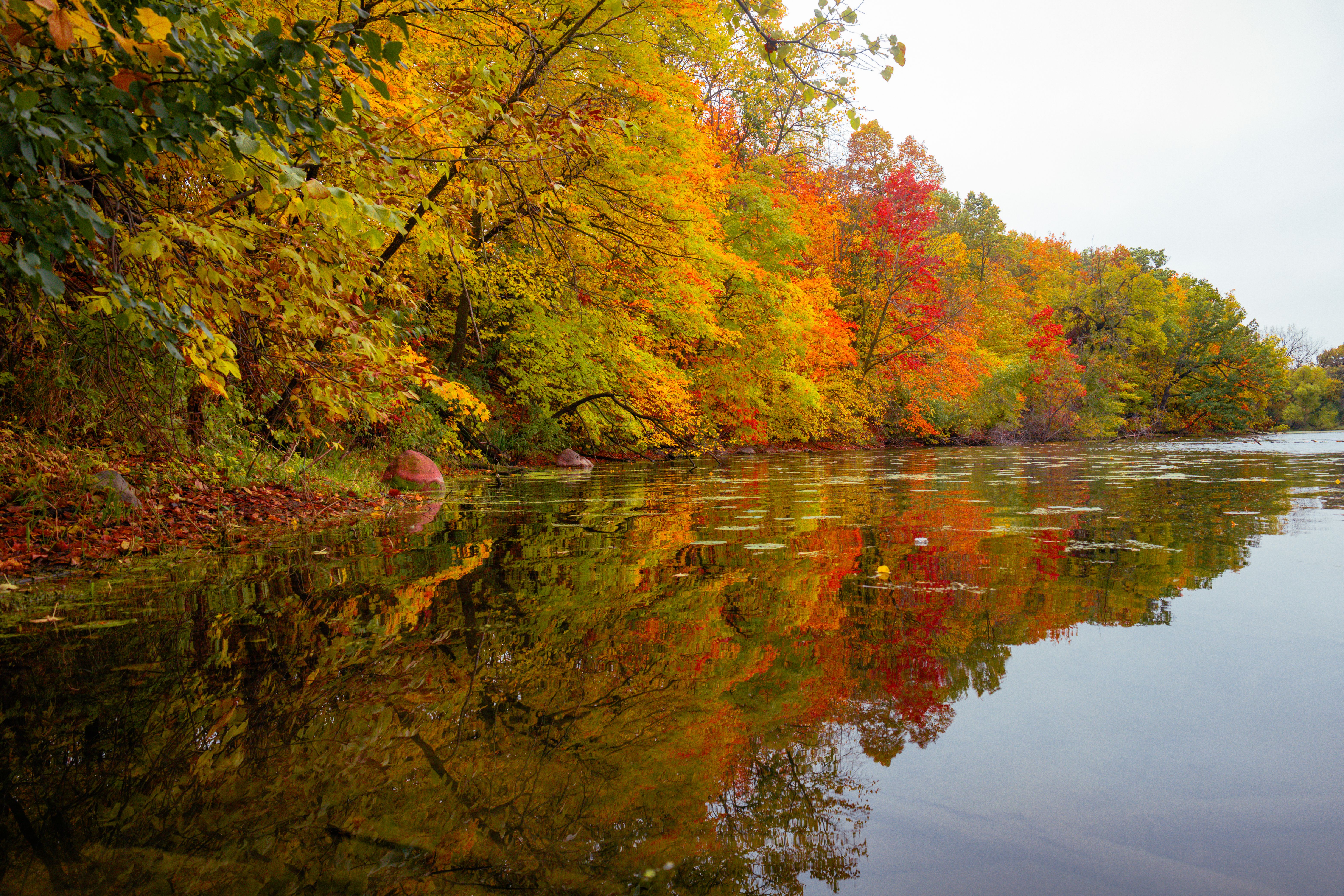 Autumn Trees near the River · Free Stock Photo