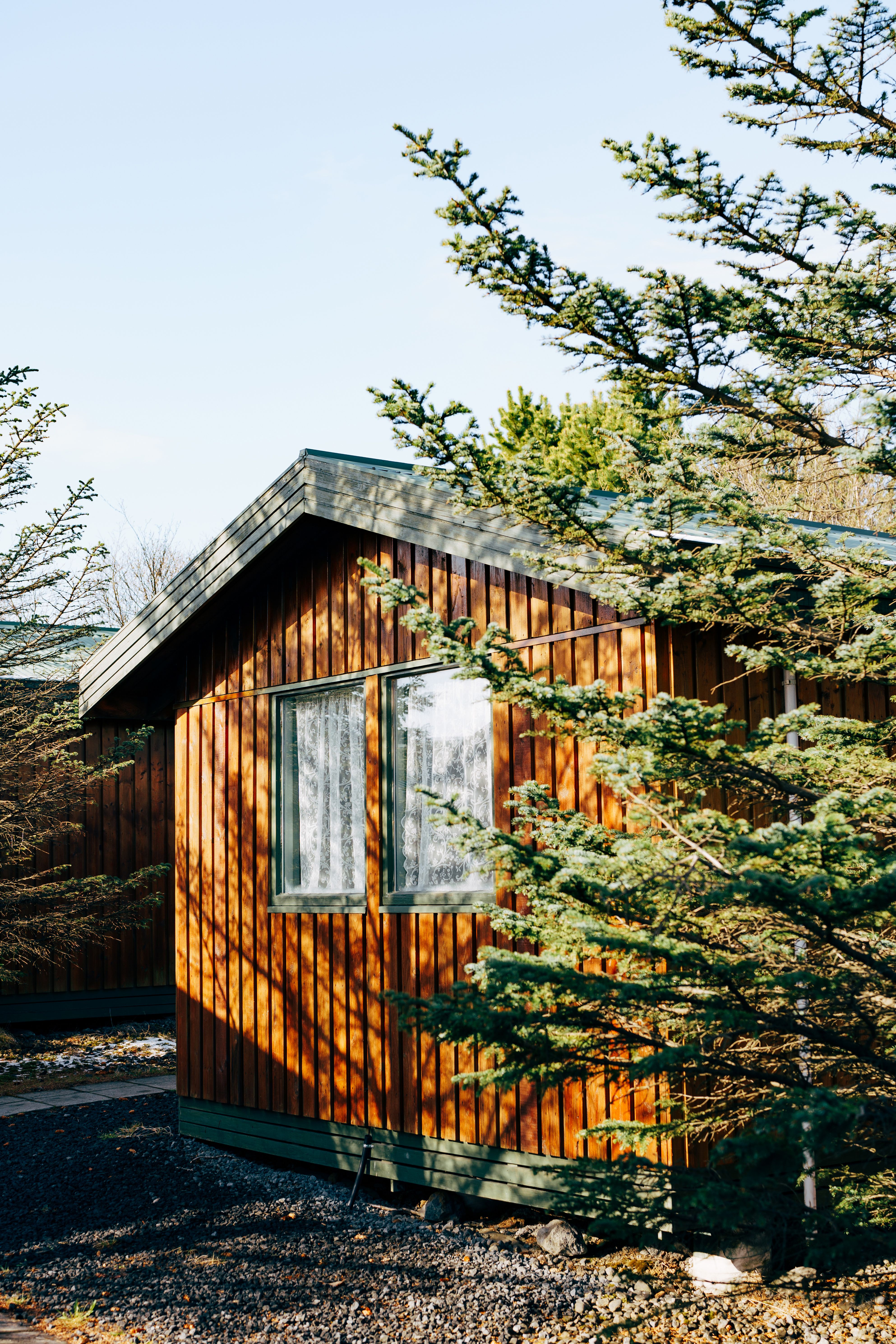 Cozy Wooden Cabin Amidst Pine Trees Outdoor Scene · Free Stock Photo
