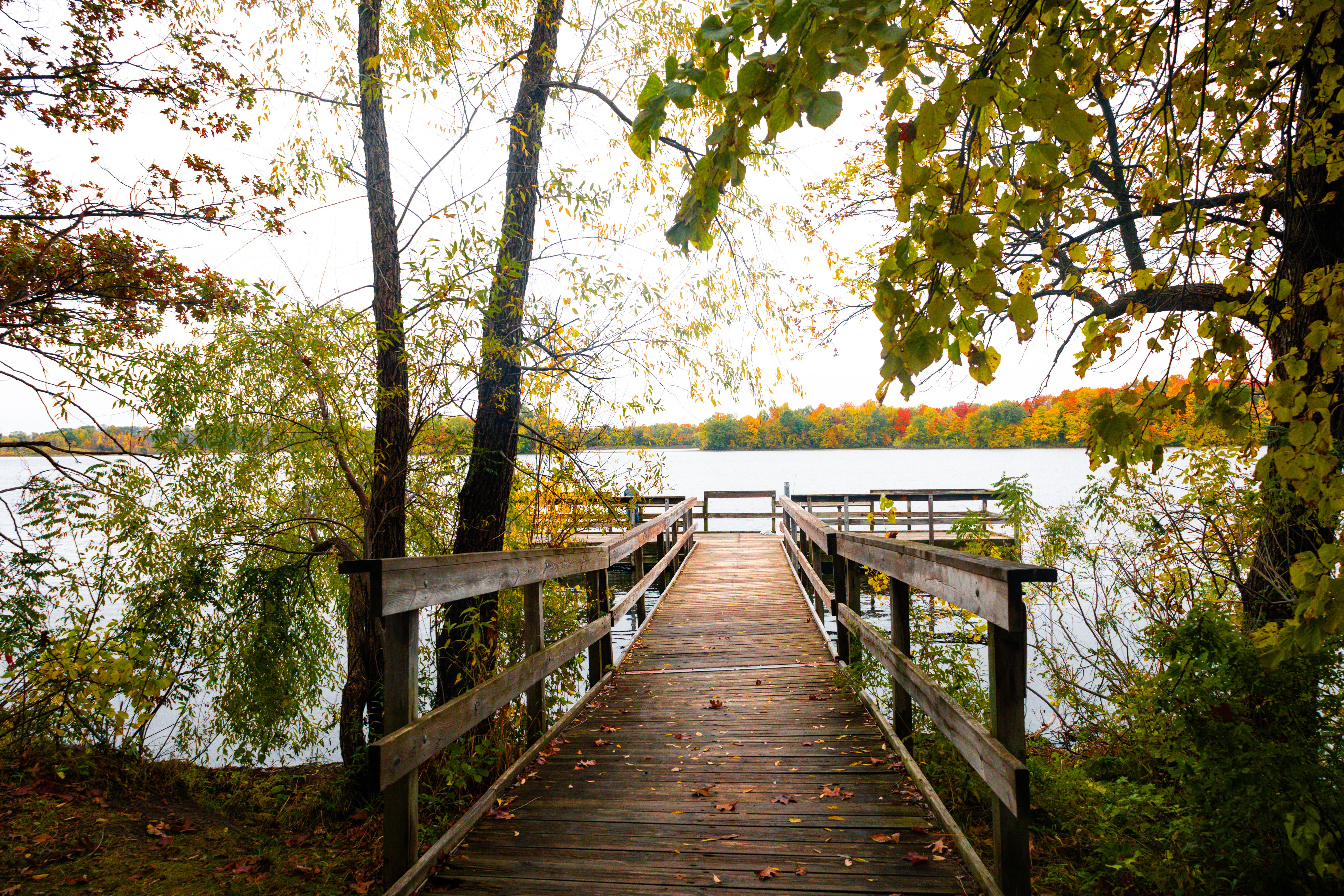 Jalan Setapak Musim Gugur Yang Indah Di Tepi Danau Minnesota · Foto ...