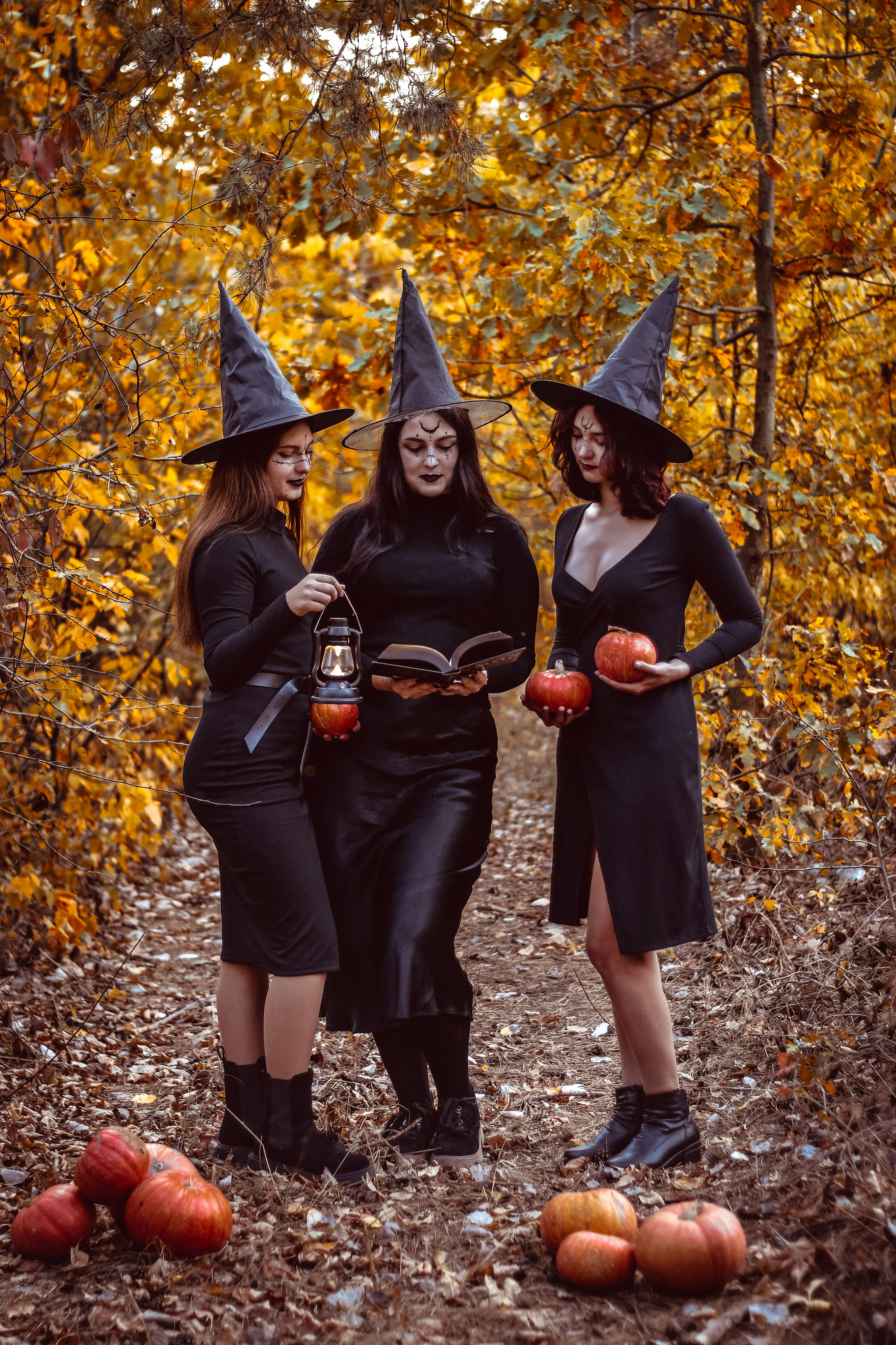 Enchanted Photos, Download The BEST Free Enchanted Stock Photos & HD Images