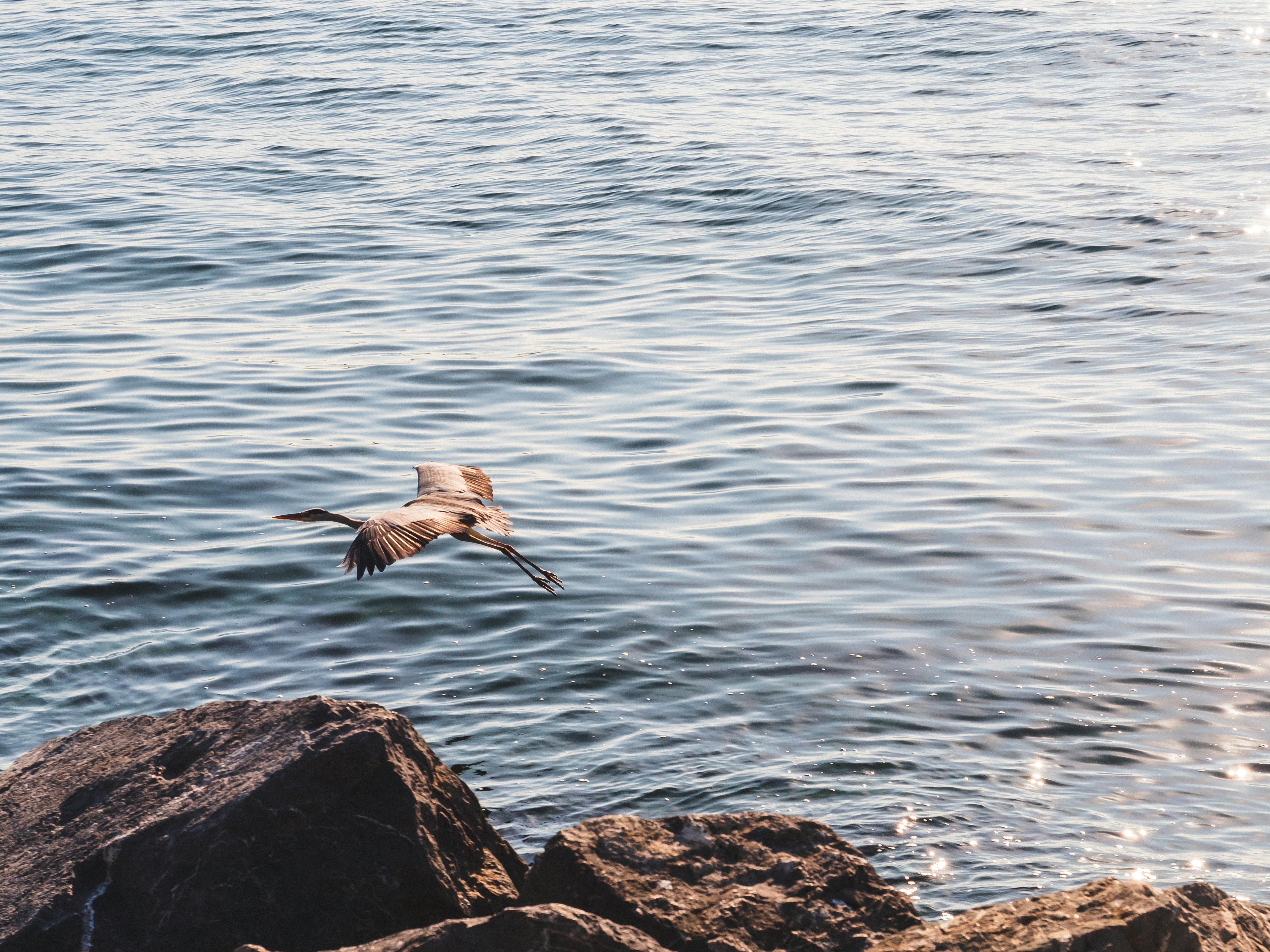 Triangle Picture Photos, Download The BEST Free Triangle Picture Stock ...