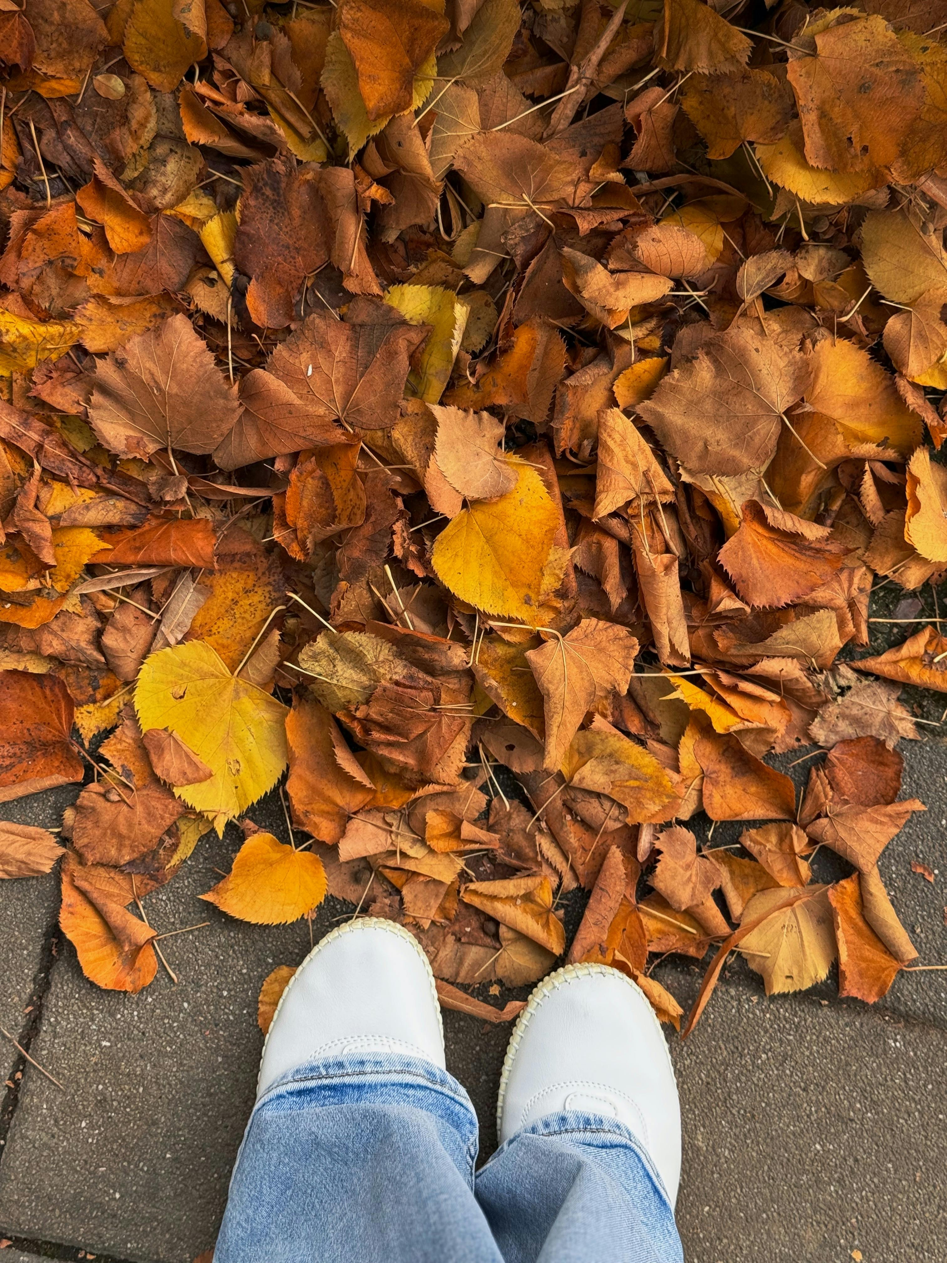 Proximity Photos, Download The BEST Free Proximity Stock Photos & HD Images