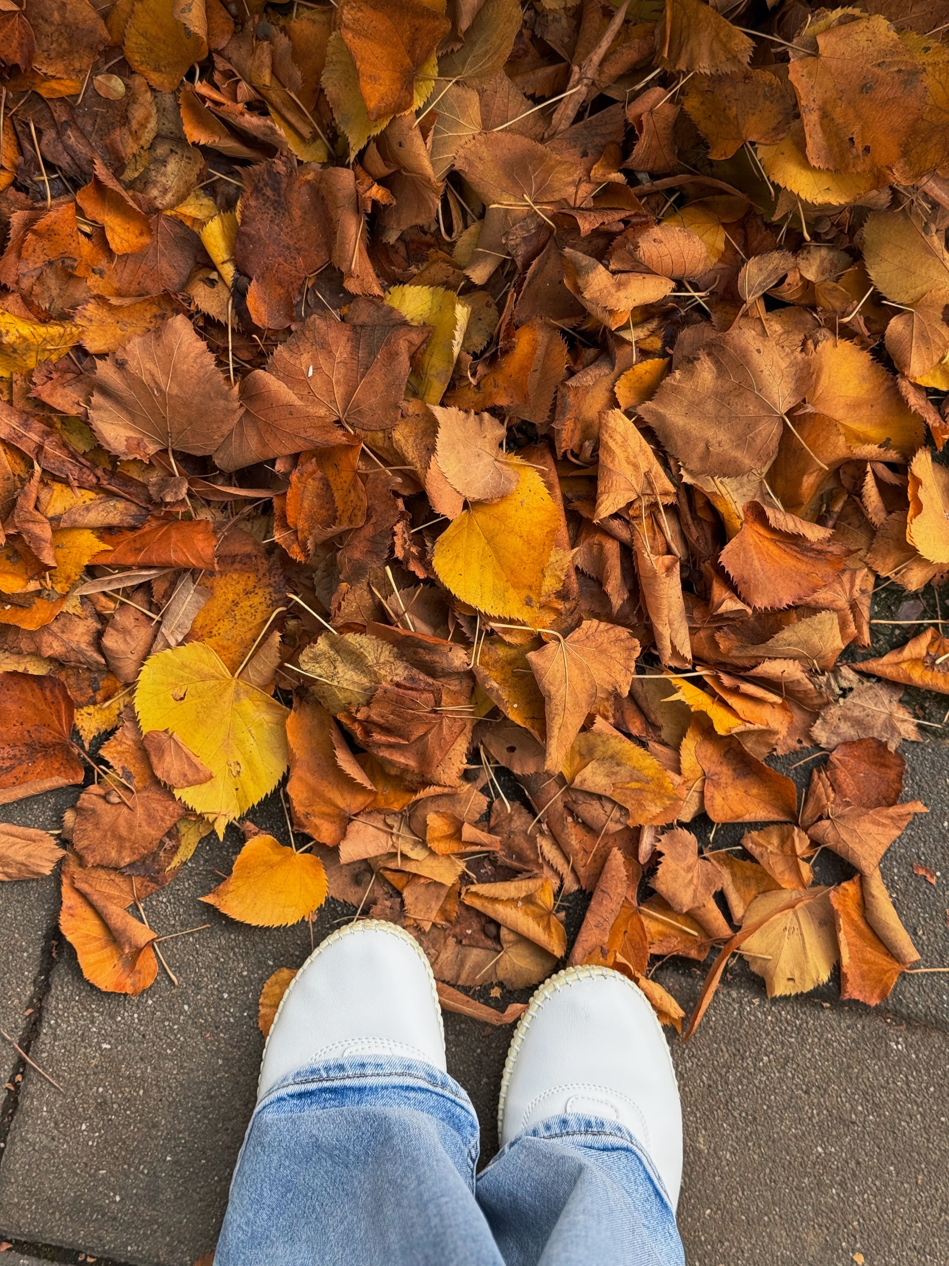 Feet Among Autumn Leaves on Urban Sidewalk · Free Stock Photo