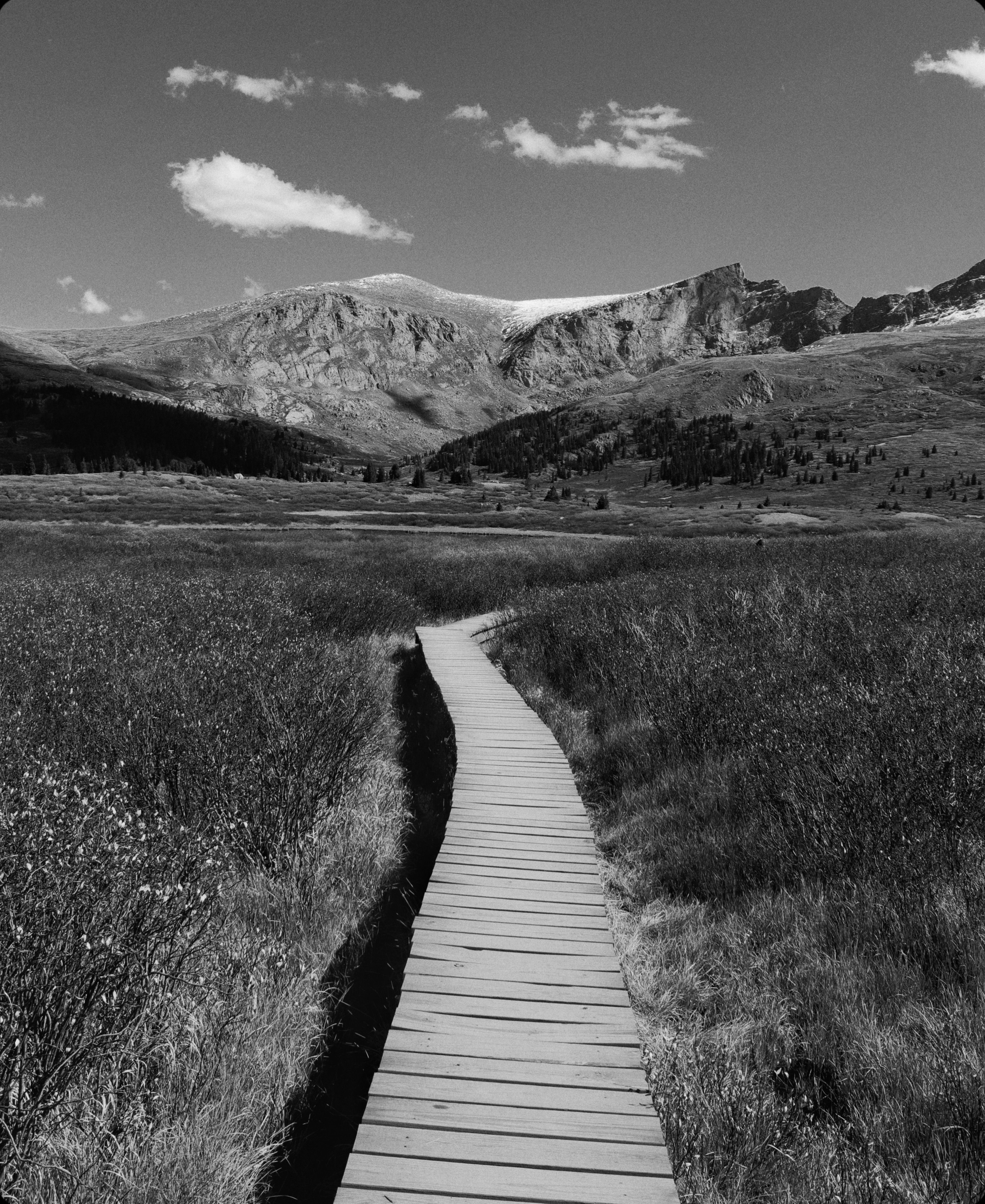 Serene Mountain Pathway in Black and White · Free Stock Photo