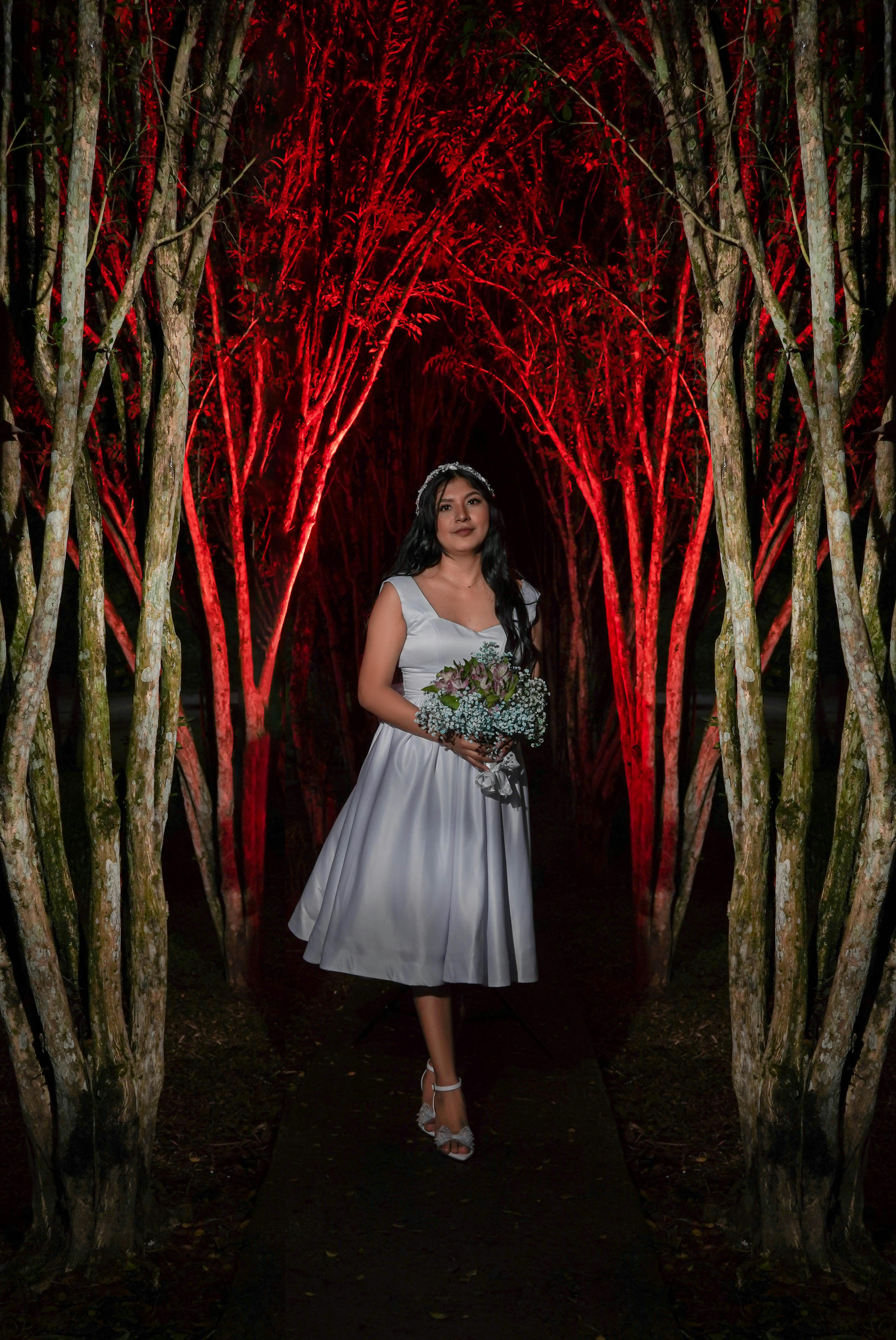 Enchanted Photos, Download The BEST Free Enchanted Stock Photos & HD Images