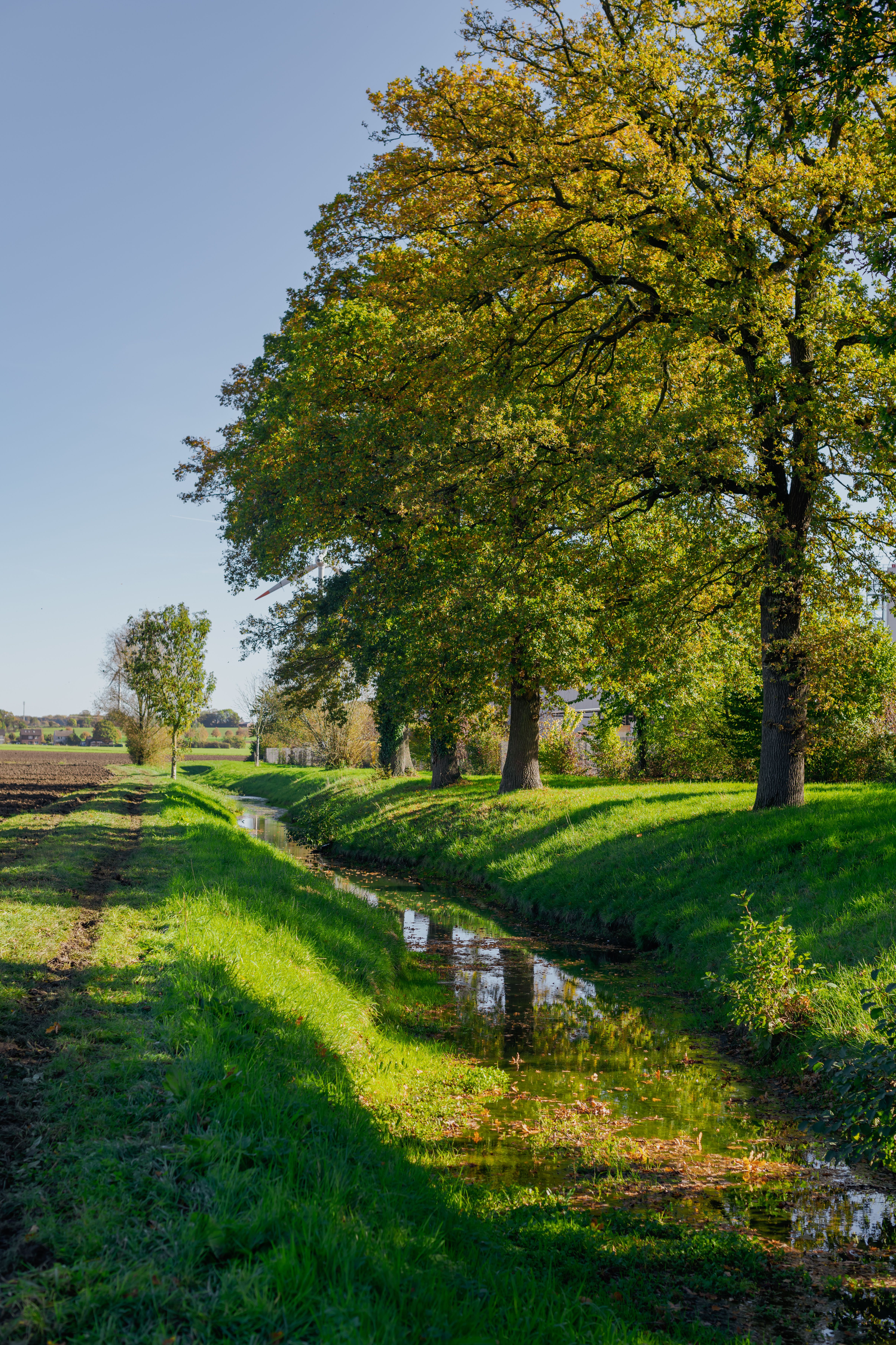 Beautiful Grass Field Photos, Download The BEST Free Beautiful Grass ...