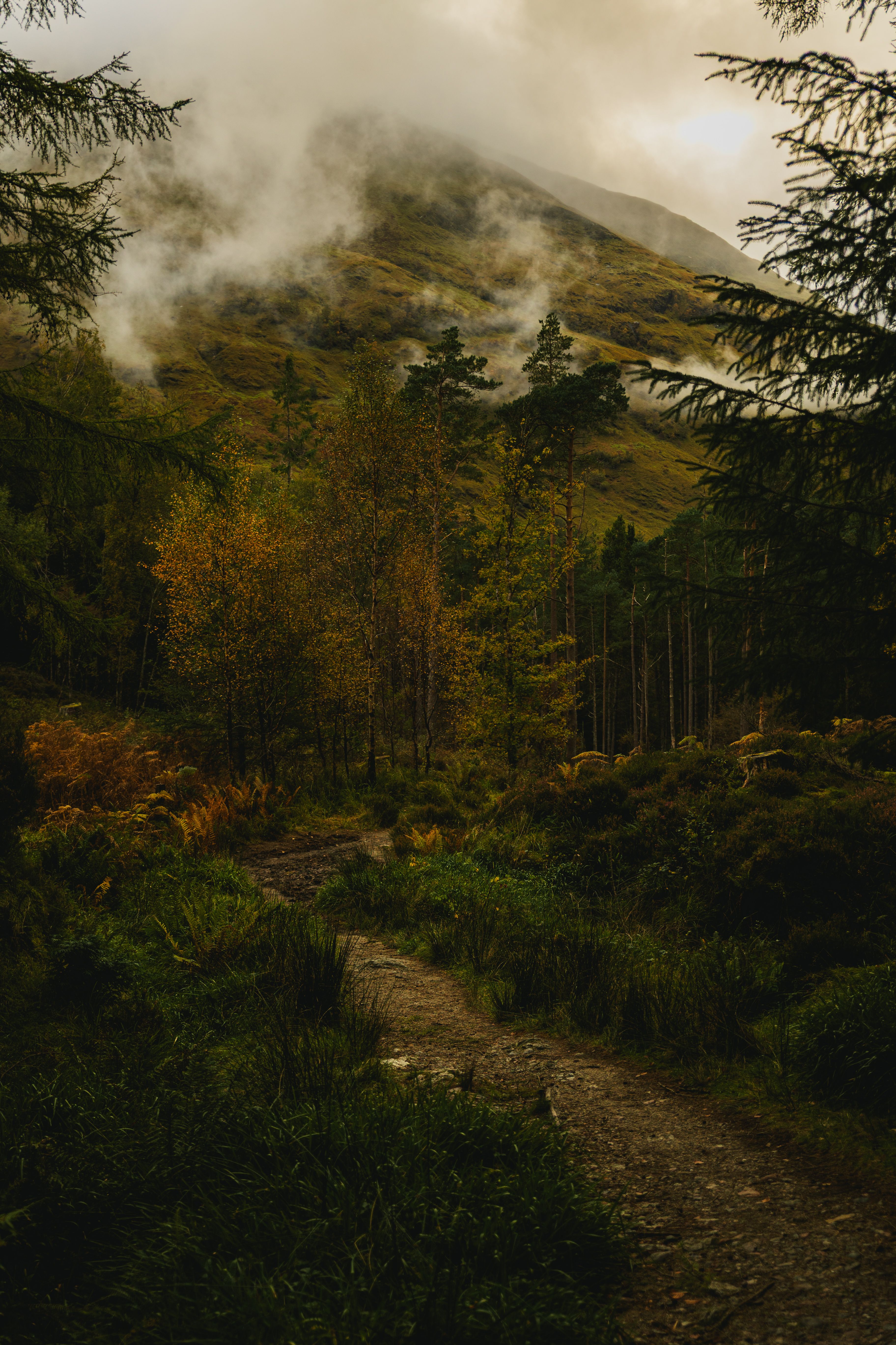 Misty Autumn Landscape in Scottish Highlands · Free Stock Photo