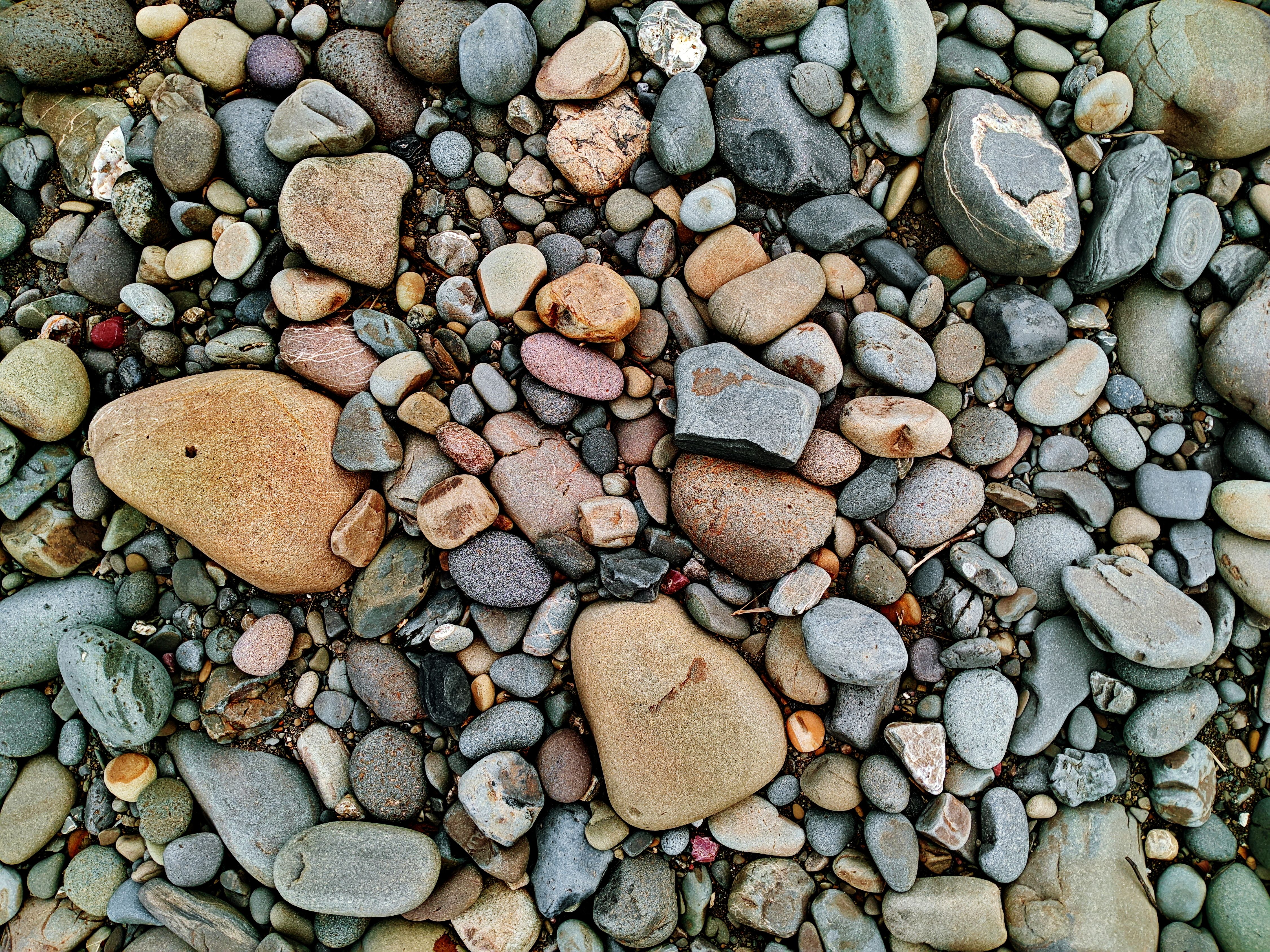 River Rocks Photos, Download The BEST Free River Rocks Stock Photos ...