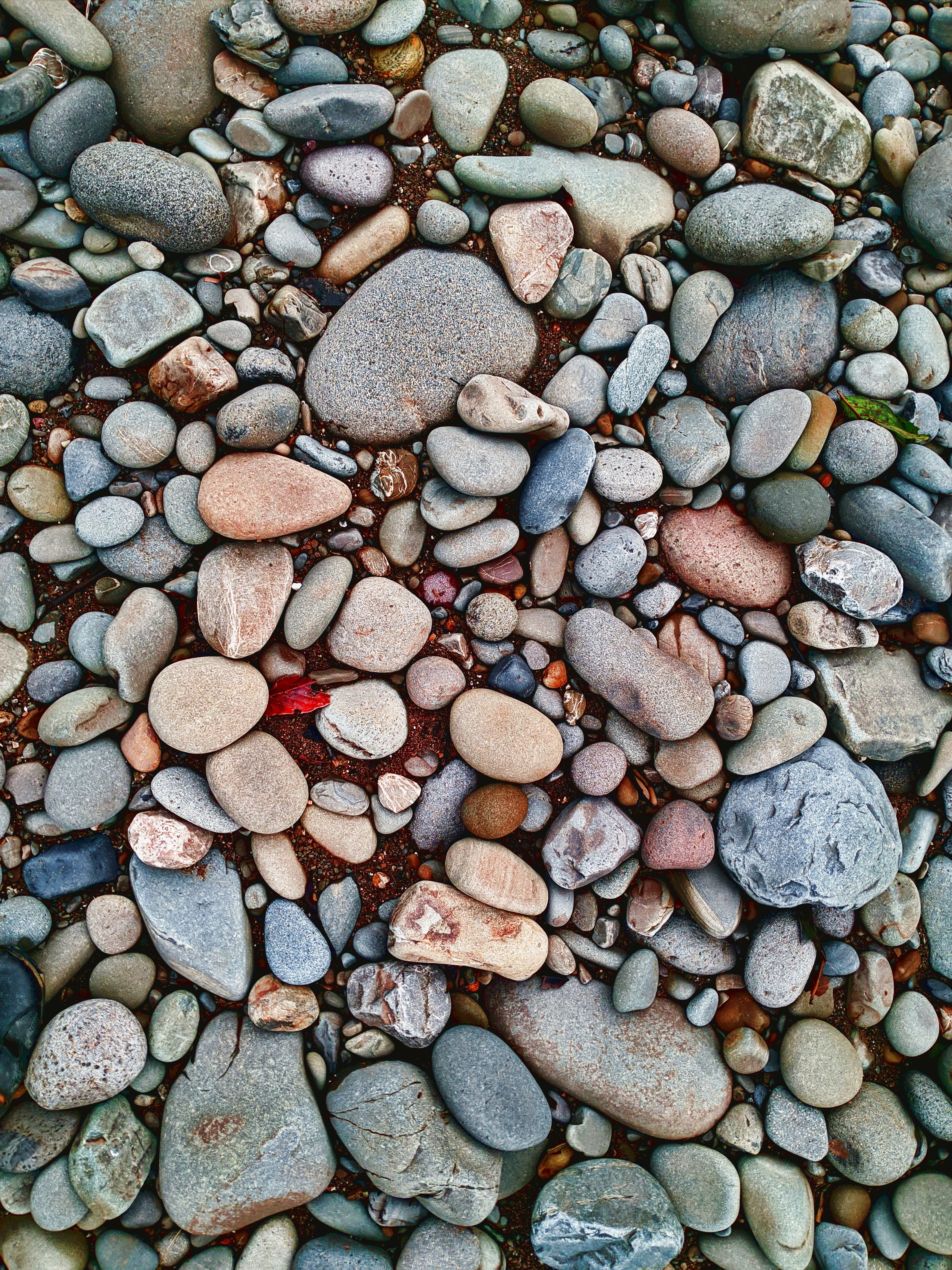 Decorative Pebbles Photos, Download The BEST Free Decorative Pebbles ...