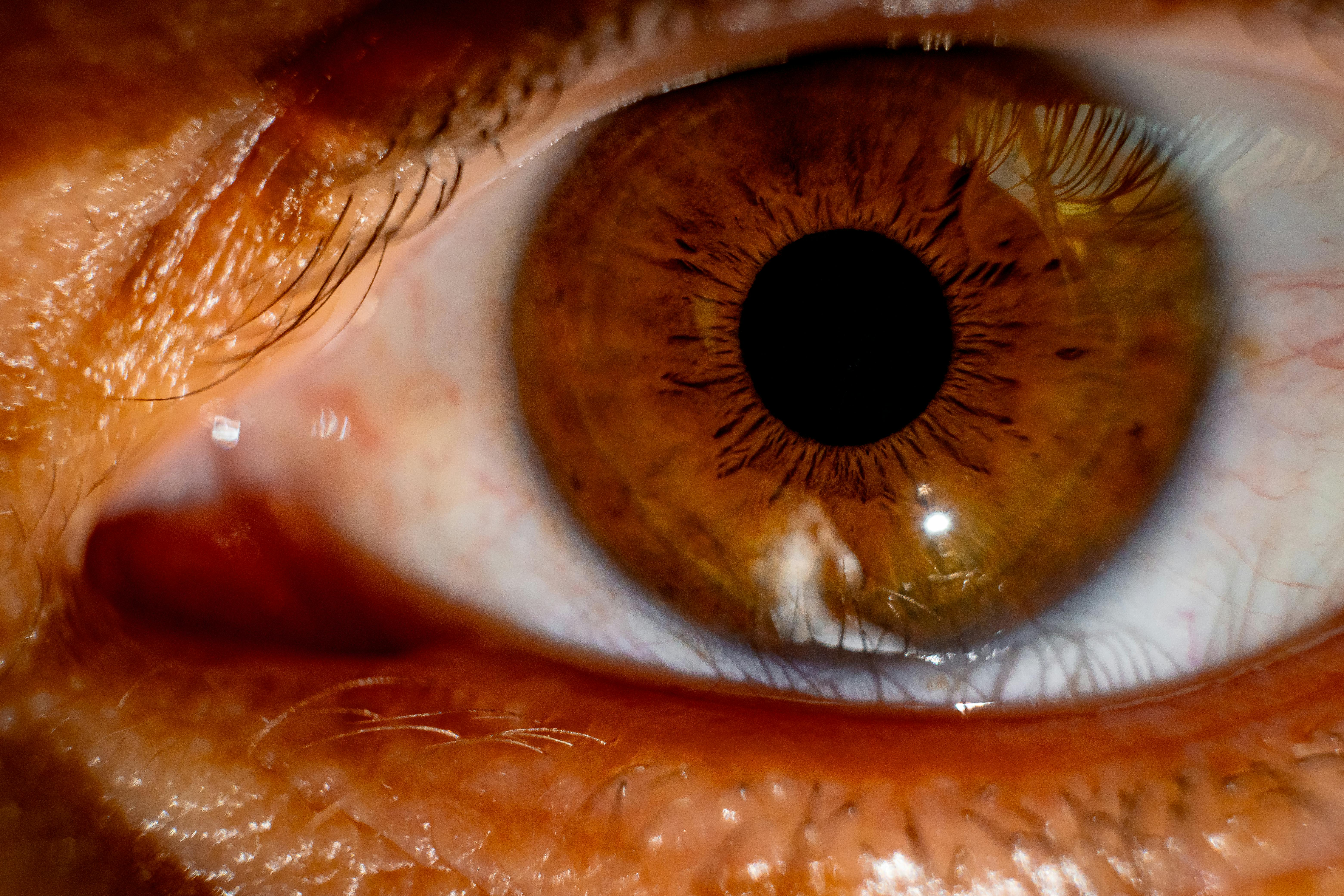 Realistic Photos, Download The BEST Free Realistic Stock Photos & HD Images