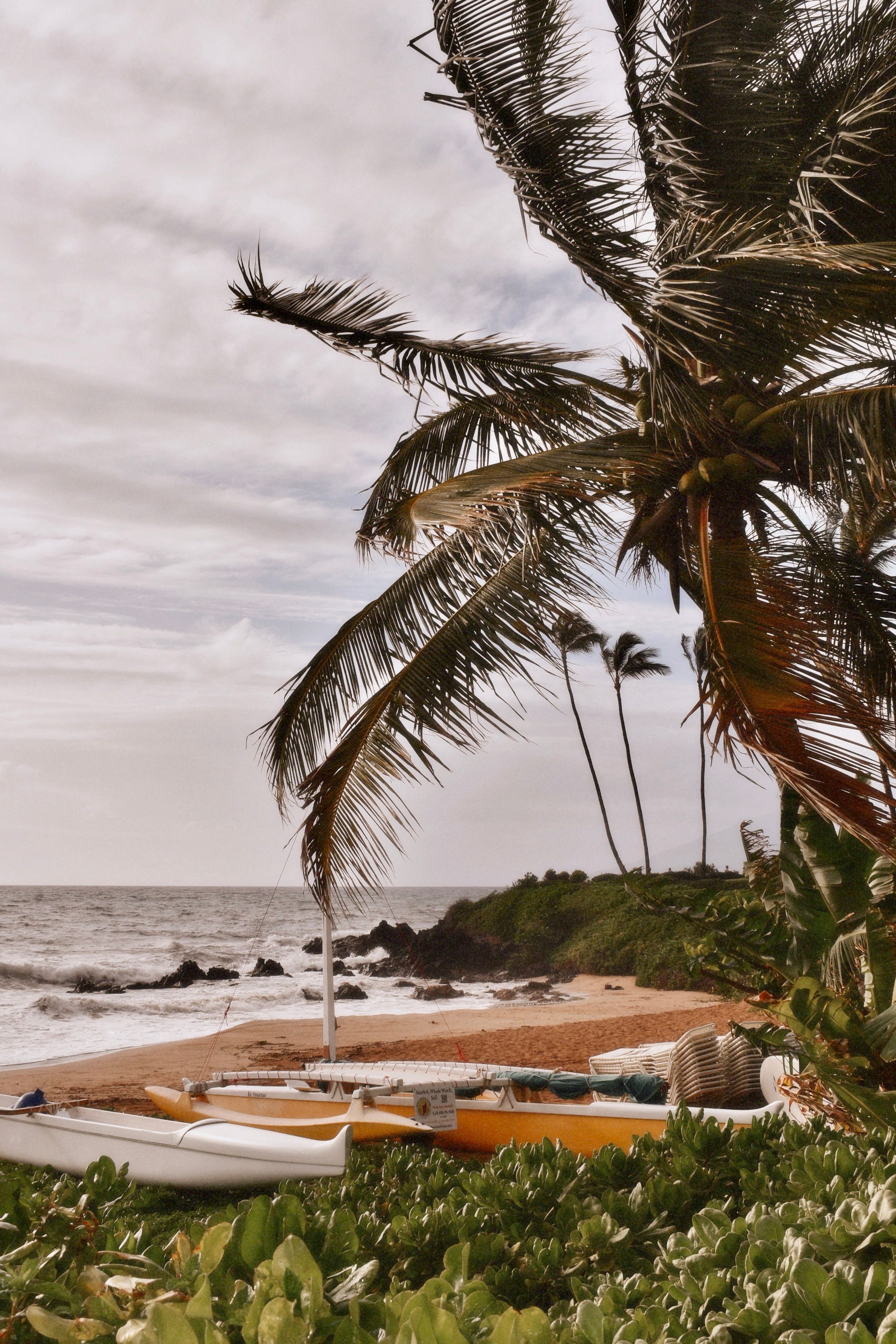 Windy coastal scene with dramatic waves · Free Stock Photo