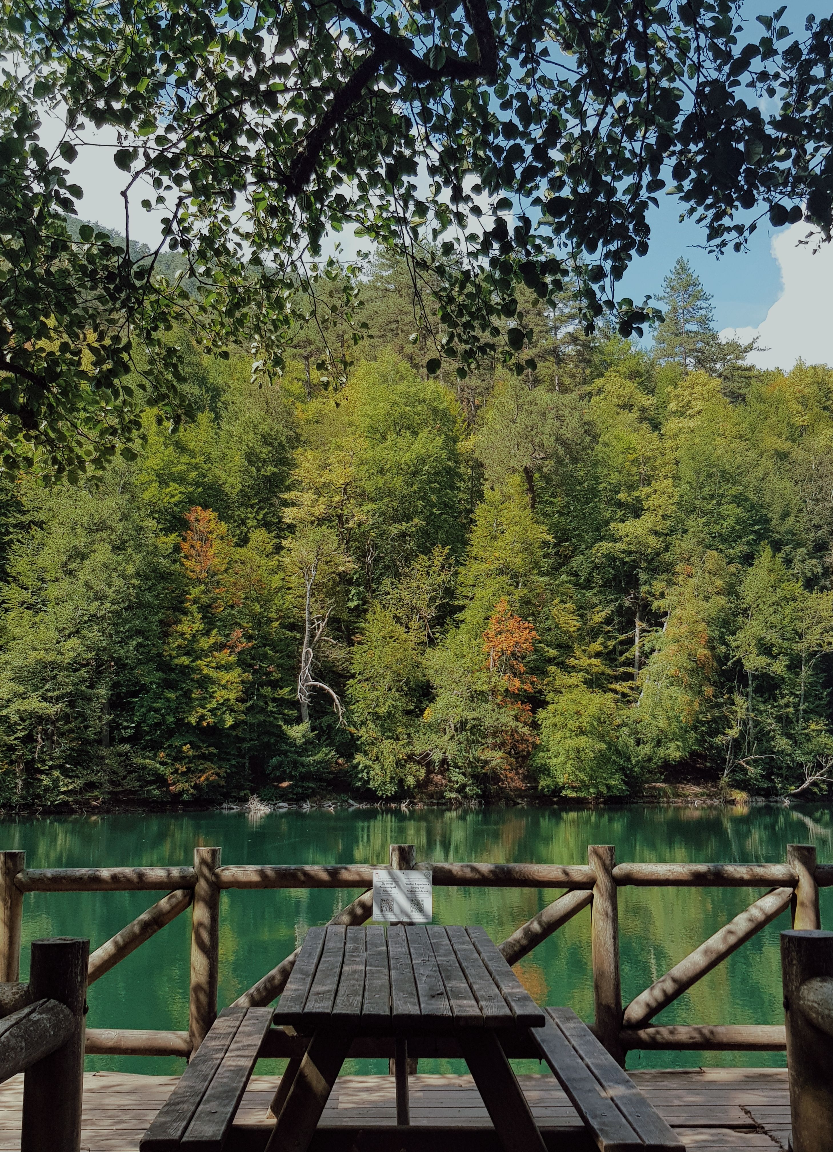 Scenic Autumn Forest Lake View with Picnic Table · Free Stock Photo