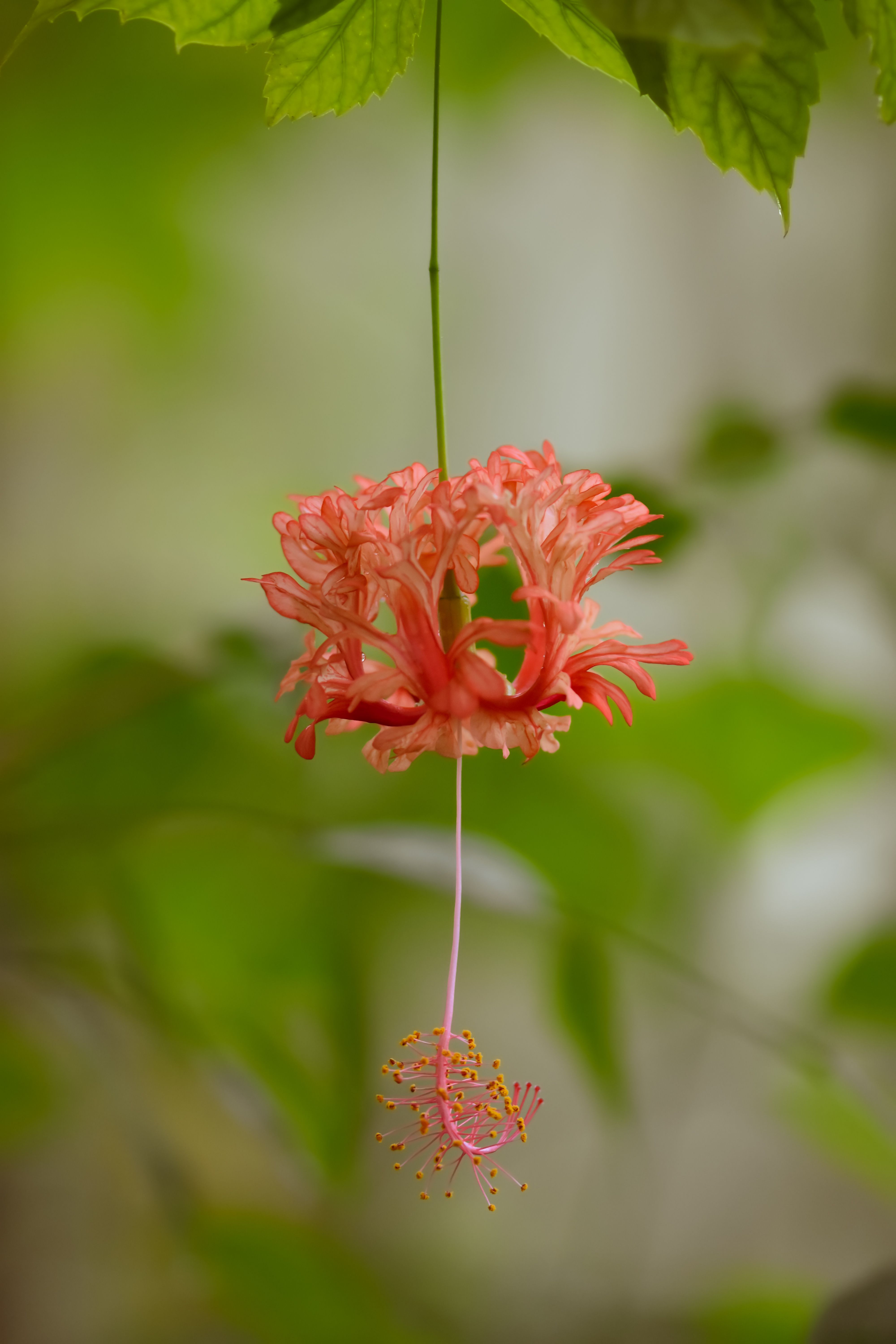 Foto de stock gratuita sobre al aire libre, artes plásticas, belleza ...
