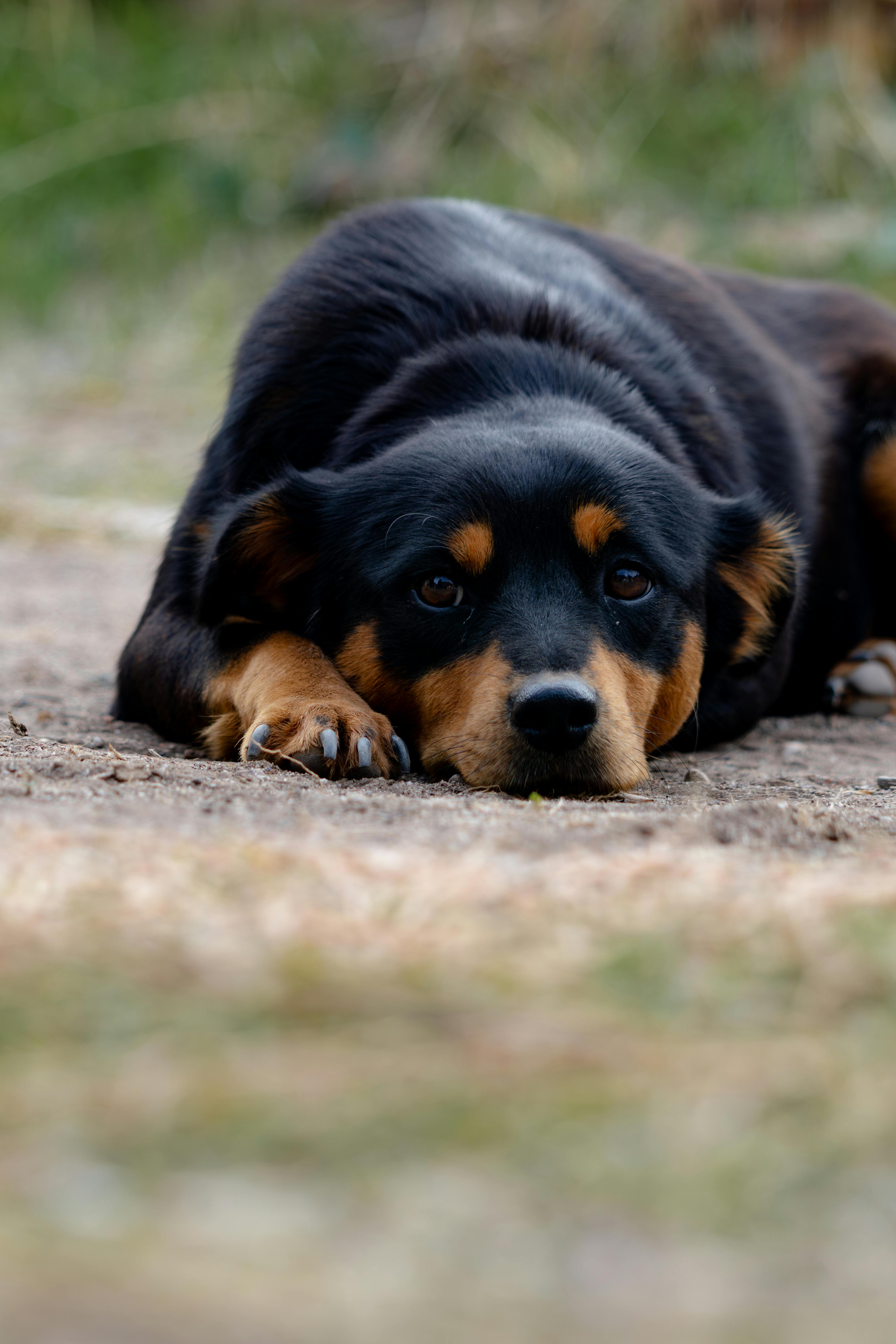 Cute Avatars Photos, Download The BEST Free Cute Avatars Stock Photos ...