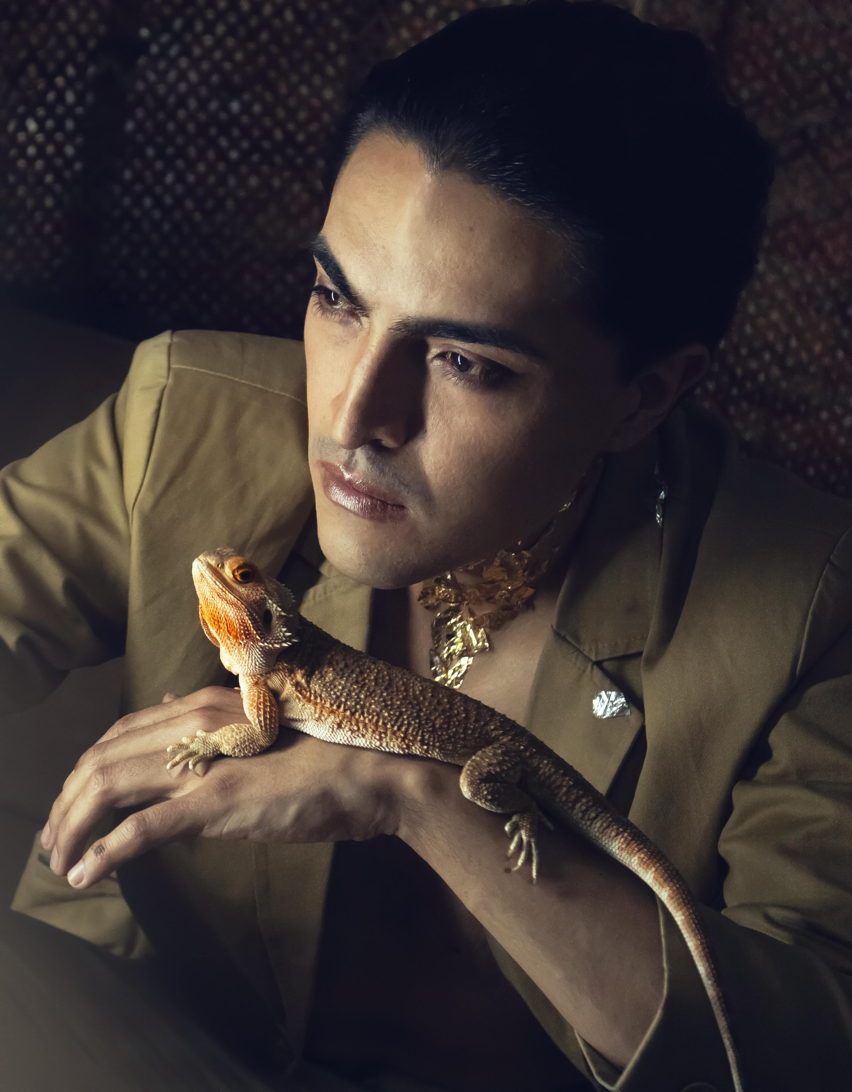 Therian Animals Photos, Download The BEST Free Therian Animals Stock ...