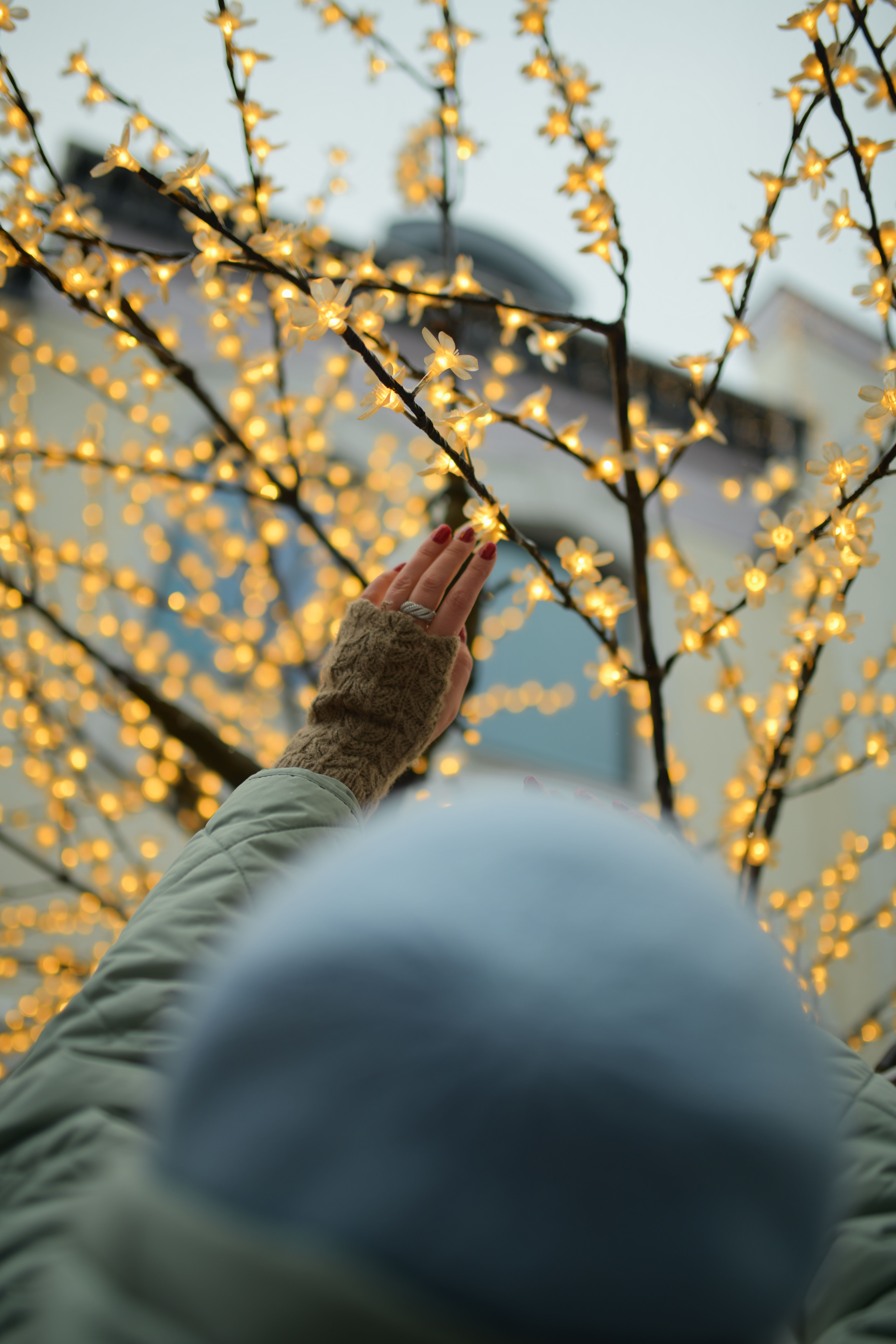Twinkling Lights Photos, Download The BEST Free Twinkling Lights Stock ...