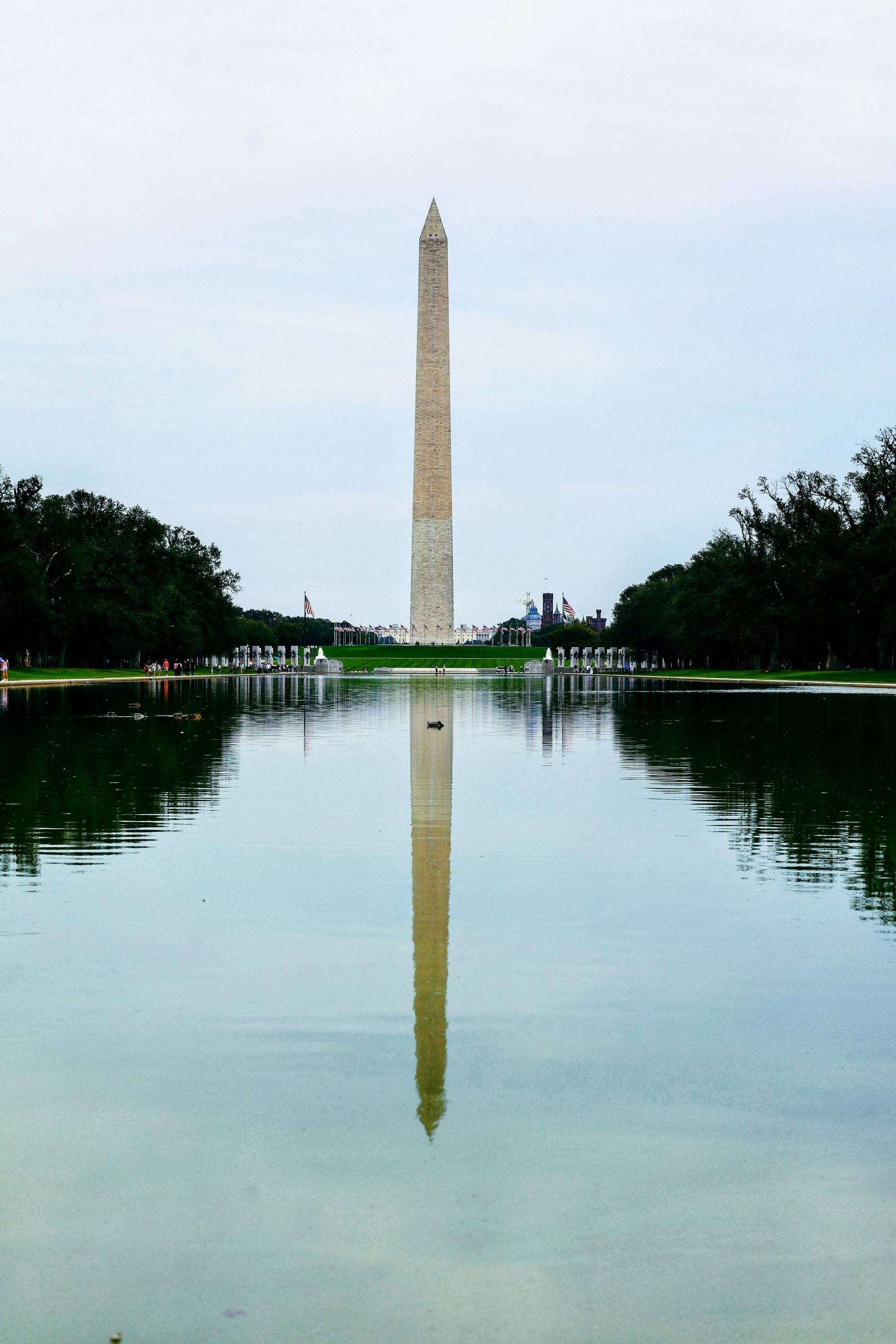 Washington Dc Skyline Photos, Download The BEST Free Washington Dc ...
