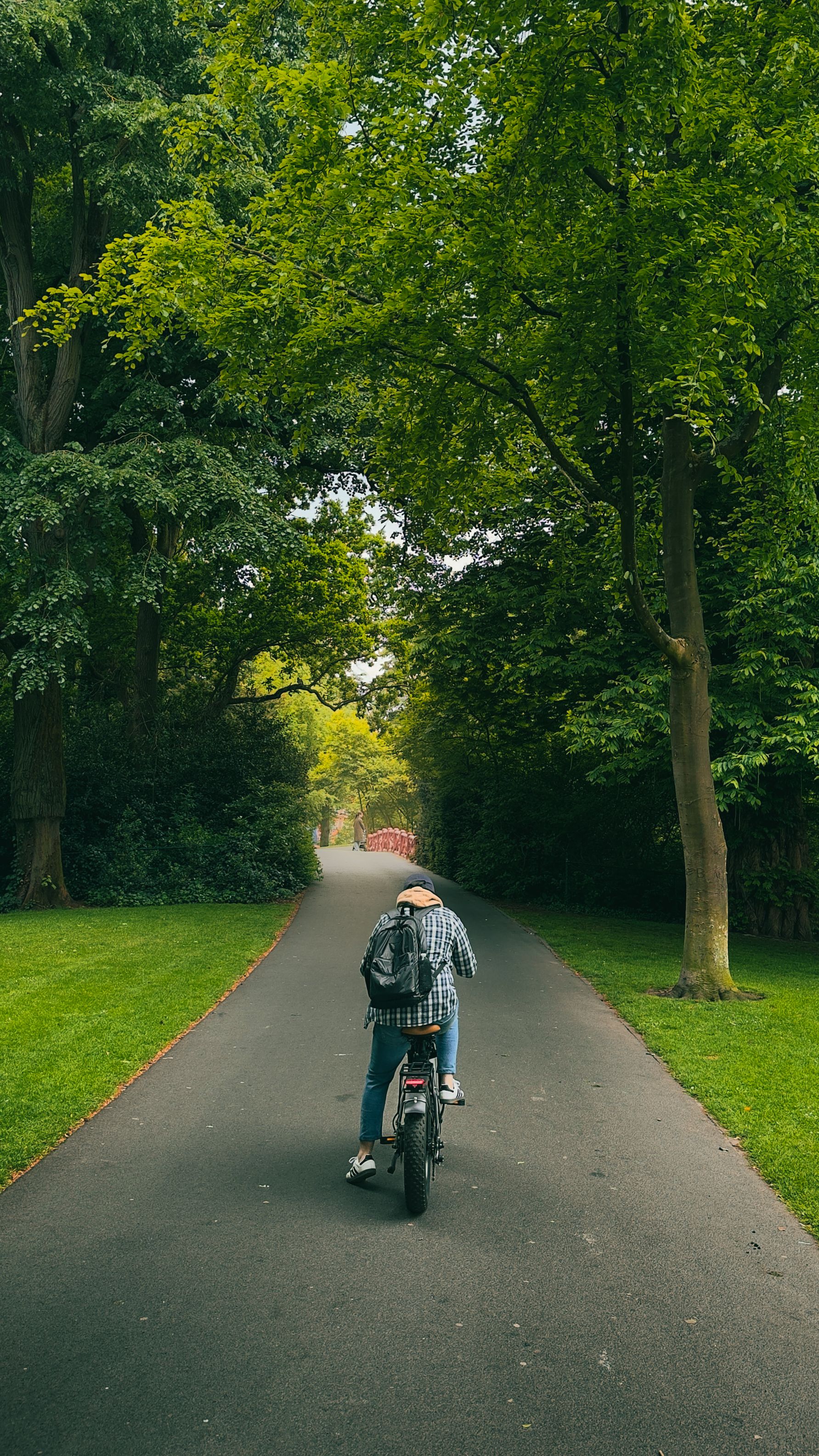 Cyclist on Scenic Tree-Lined Path in Park · Free Stock Photo
